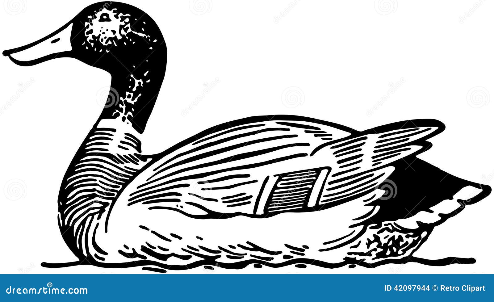 Ente vektor abbildung. Illustration von stockenten, seen - 42097944