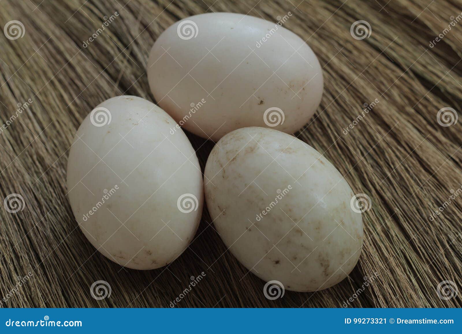 Ente Eier Auf Grashintergrund Stockbild - Bild von eierpunsch, gesund ...