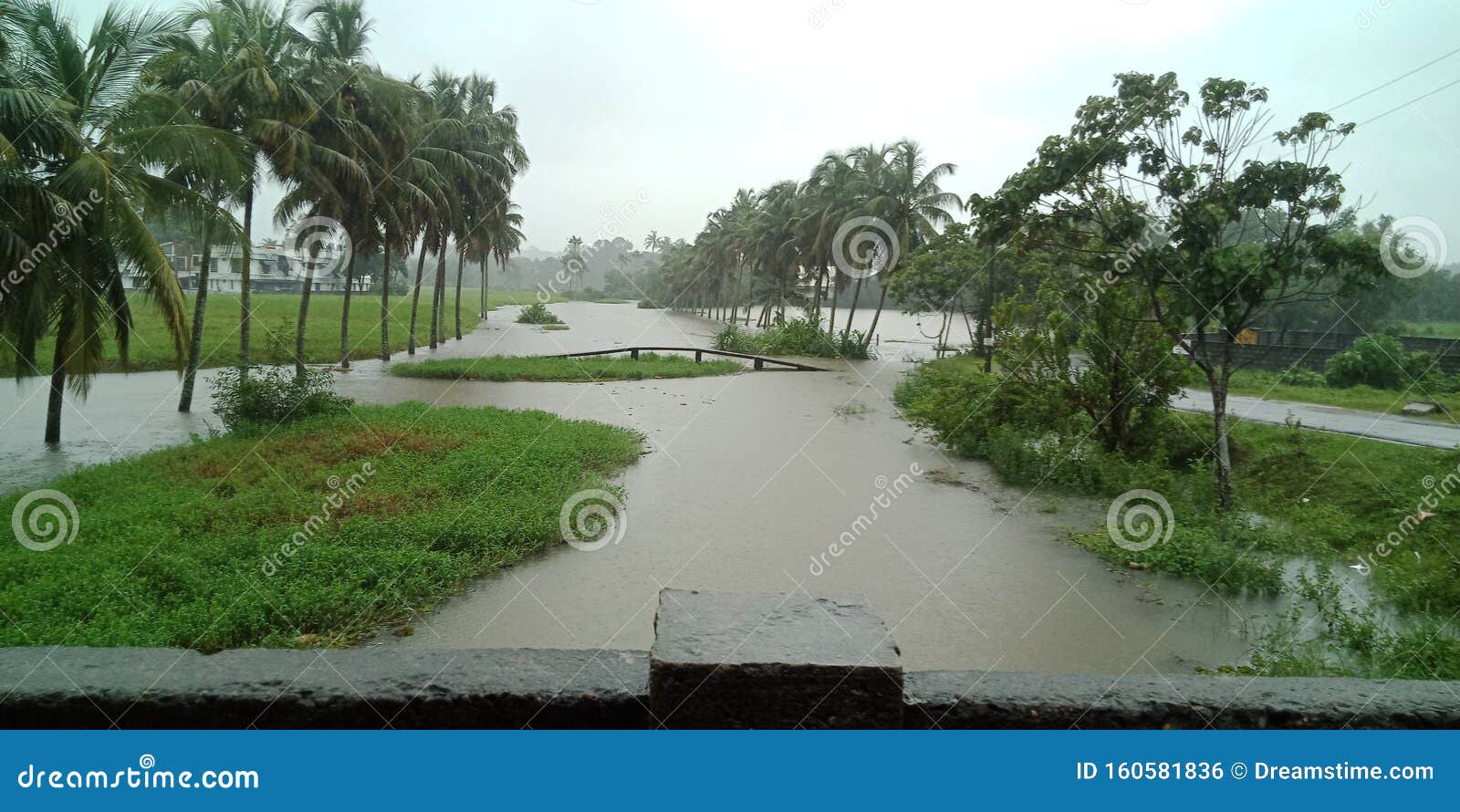 Ente gramam stock photo. Image of water, trees, rain - 160581836