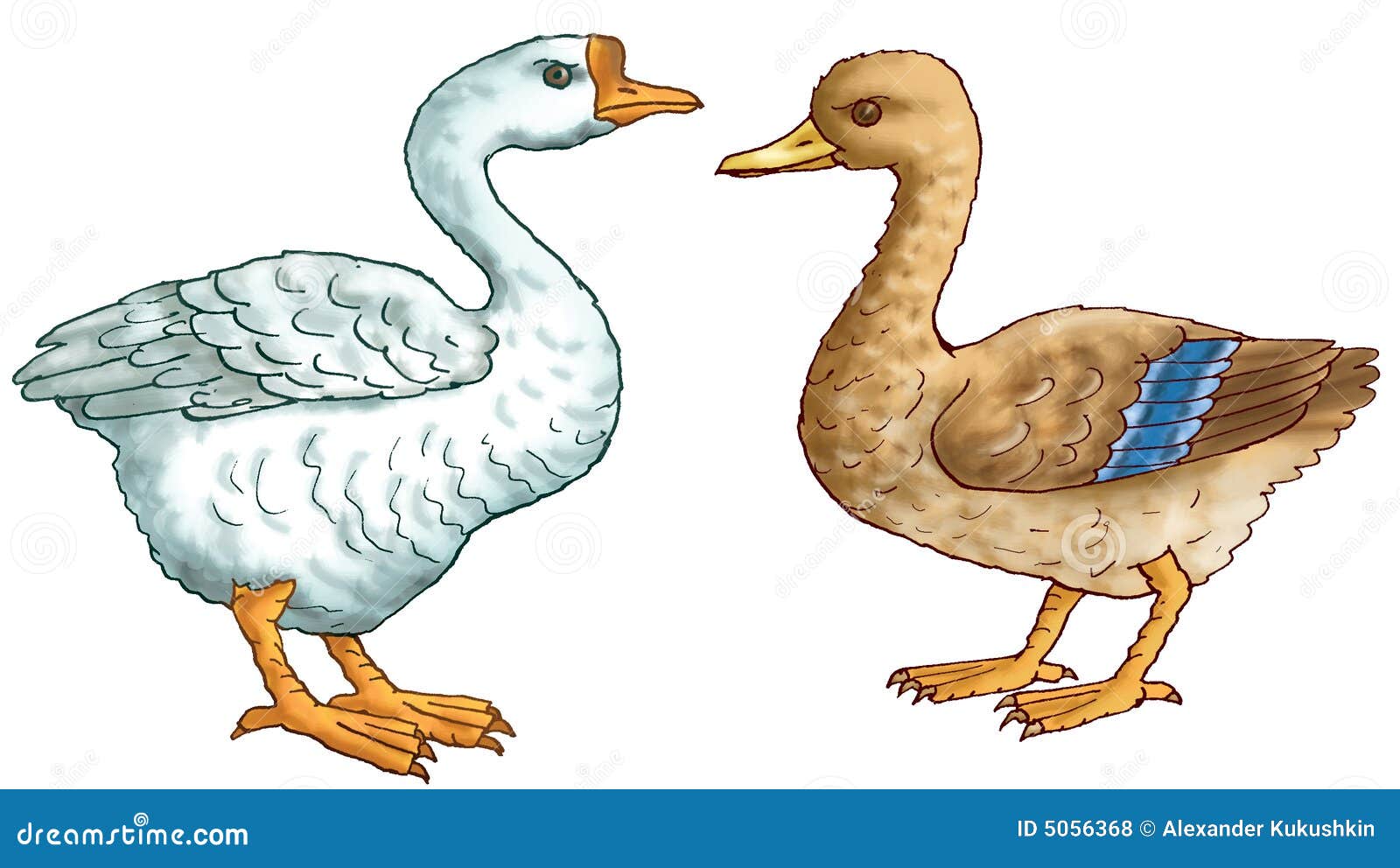 Ente und die Gans stock abbildung. Illustration von vogel - 5056368