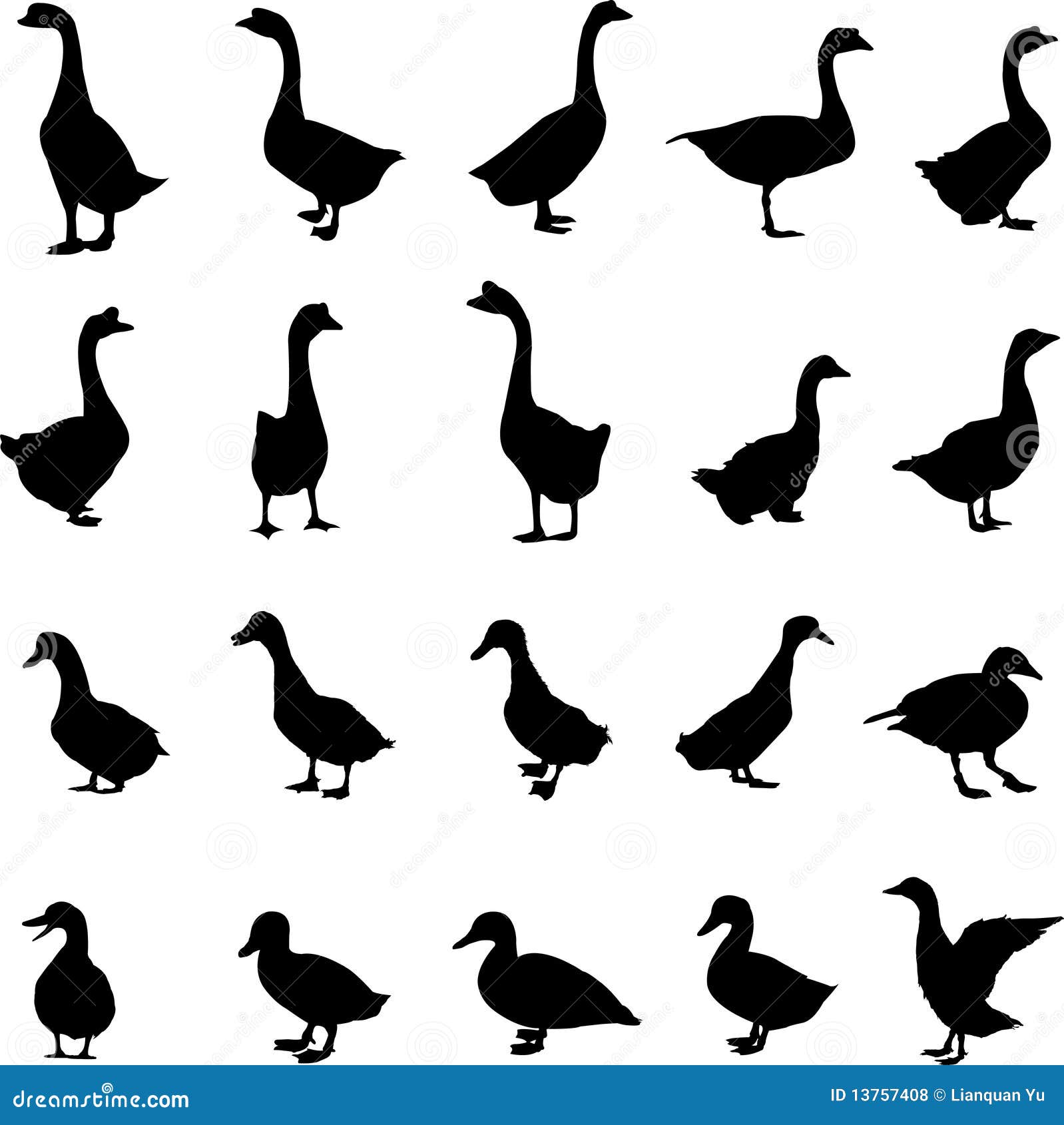 Ente und Gans vektor abbildung. Illustration von profil - 13757408