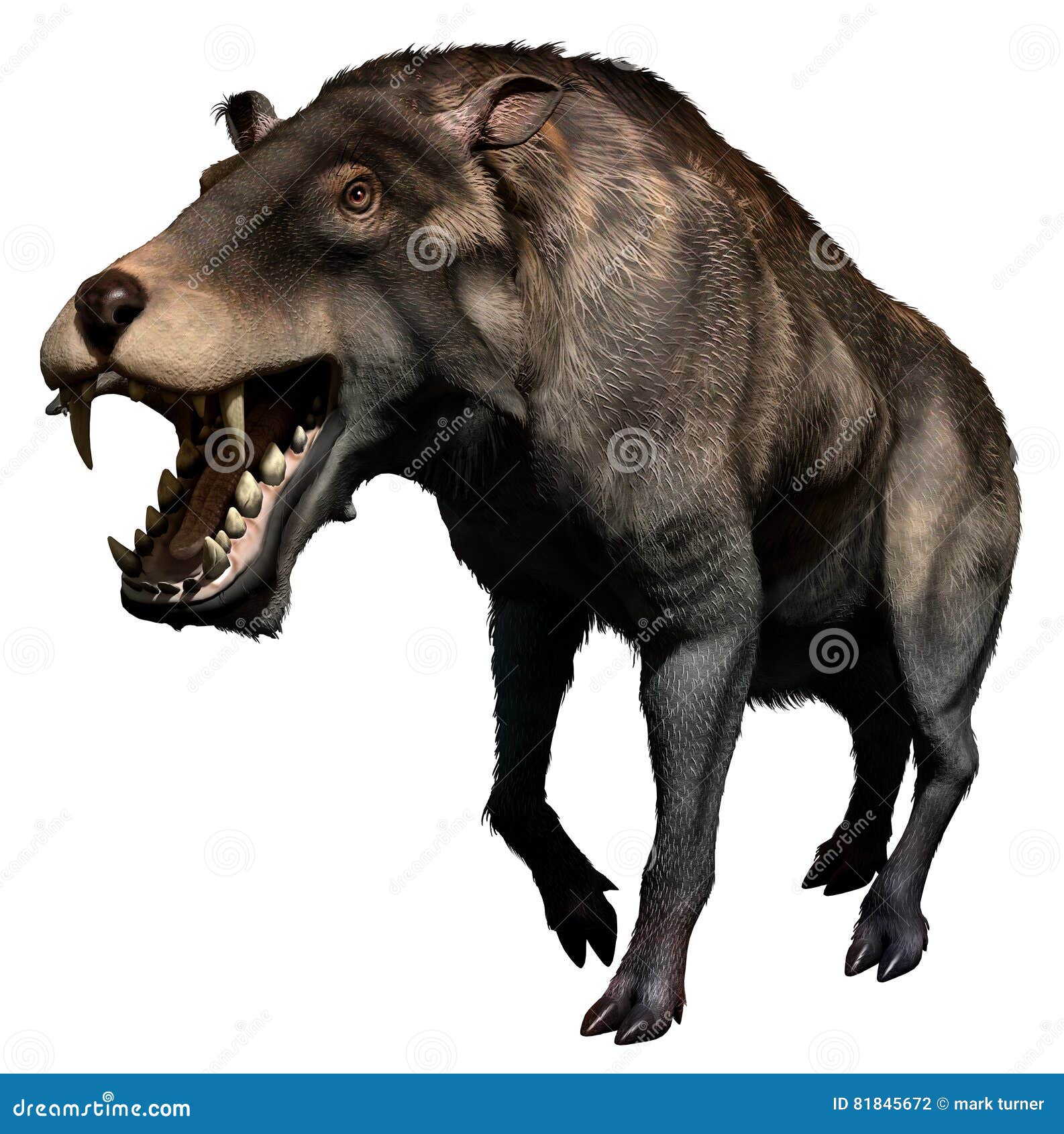 Entelodon illustrazione di stock. Illustrazione di preistorico - 81845672