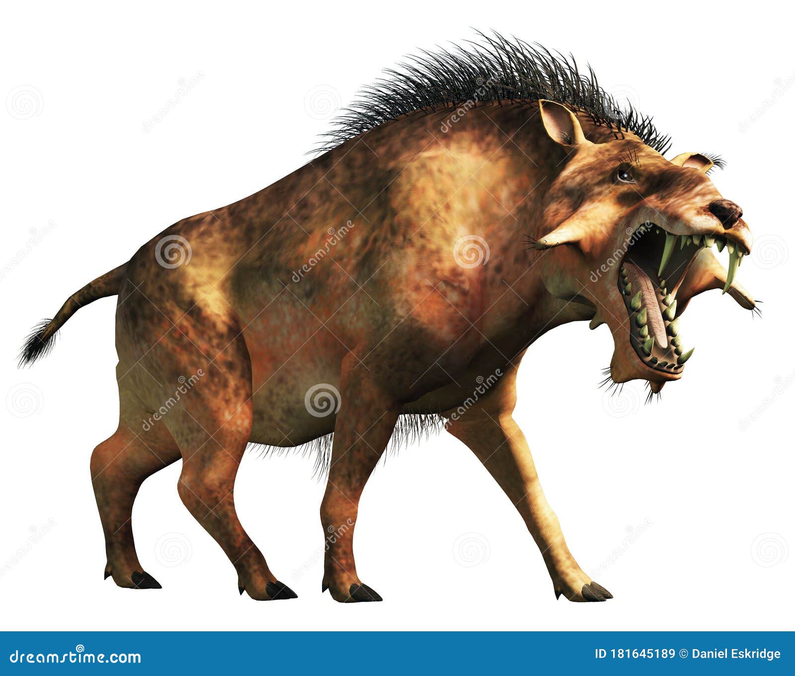 Entelodon stock illustration. Illustration of white - 181645189