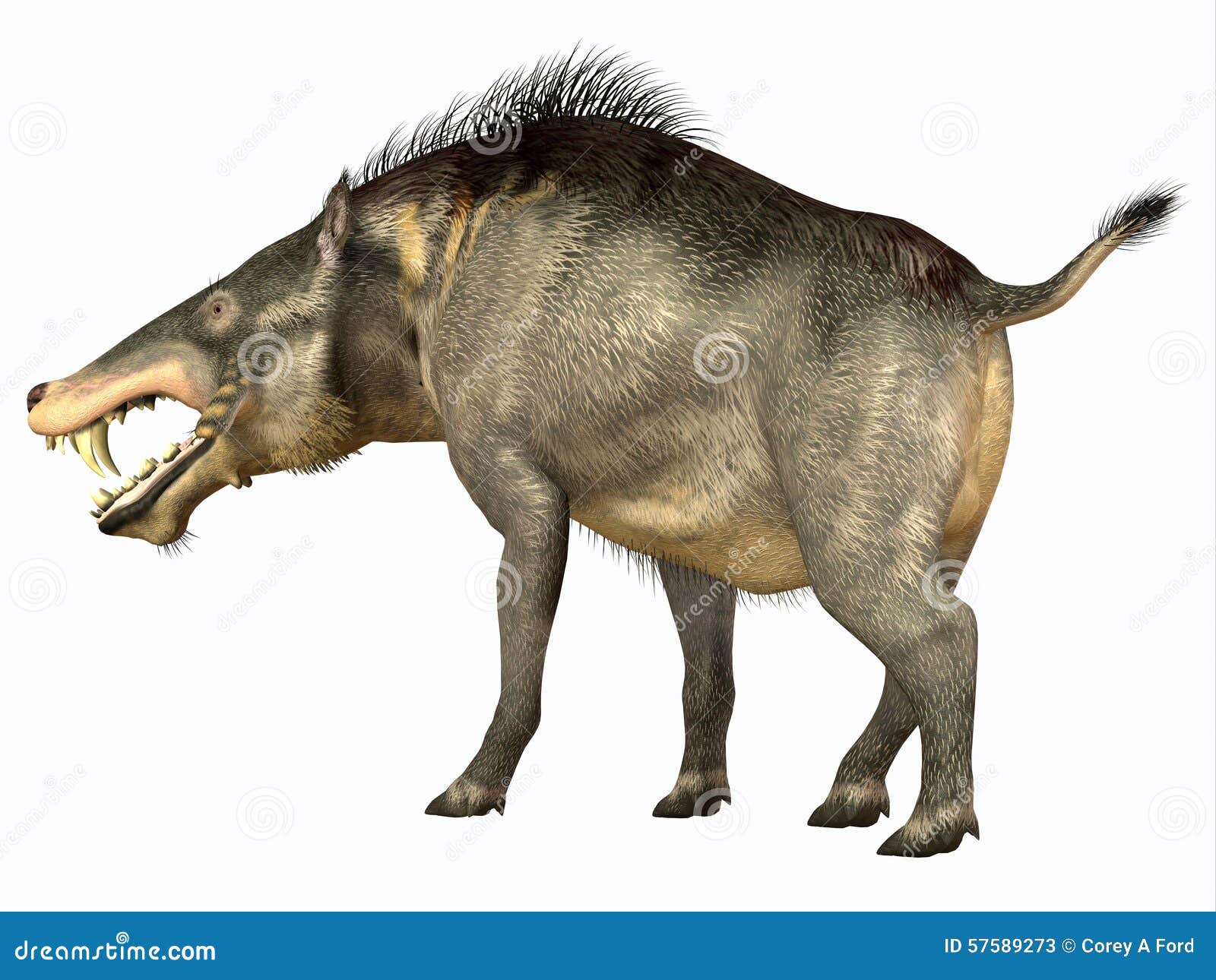 Entelodon omnivor stock illustrationer. Illustration av eoken - 57589273