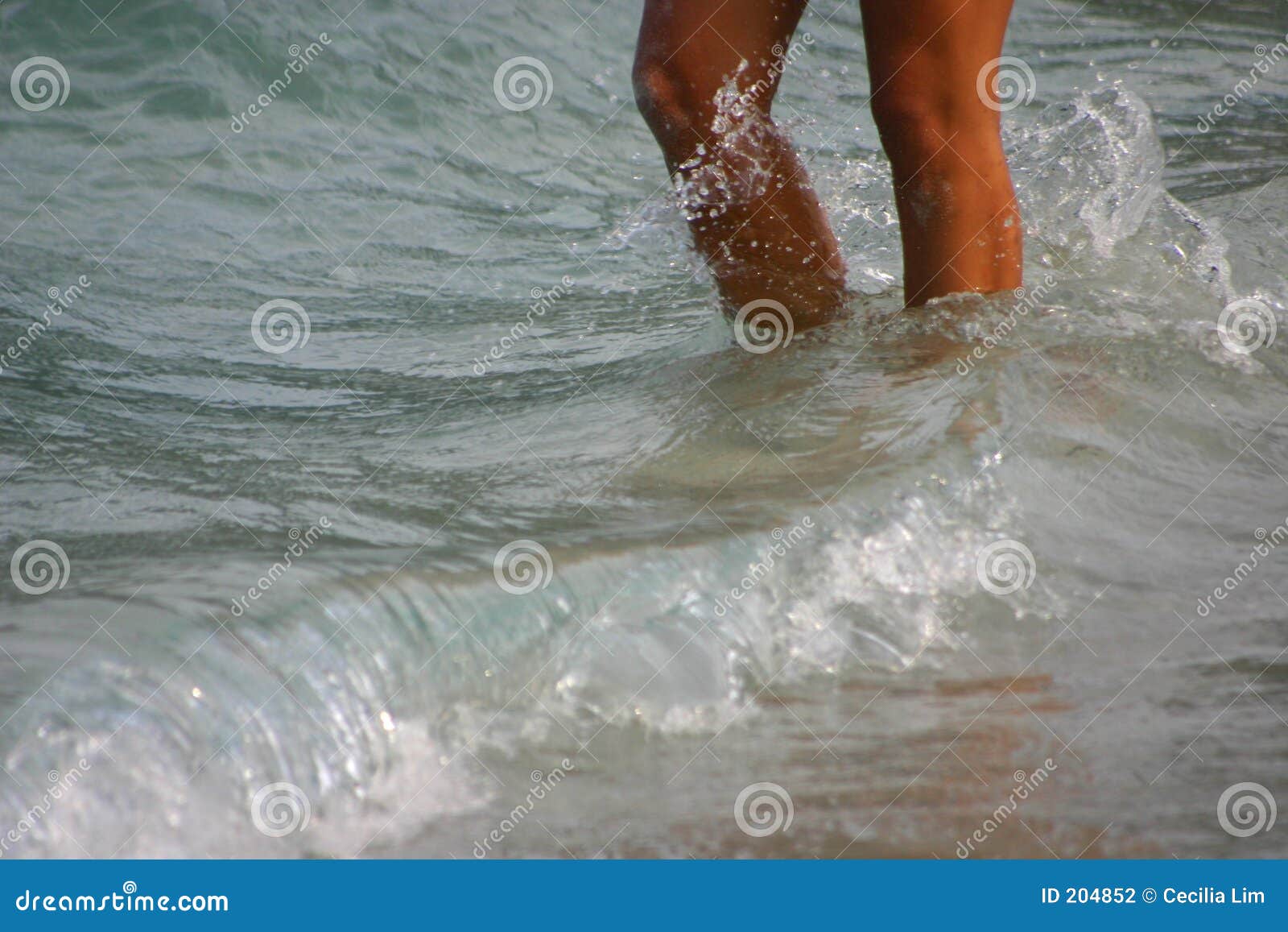 Entering the Water stock photo. Image of recreation, brave - 204852