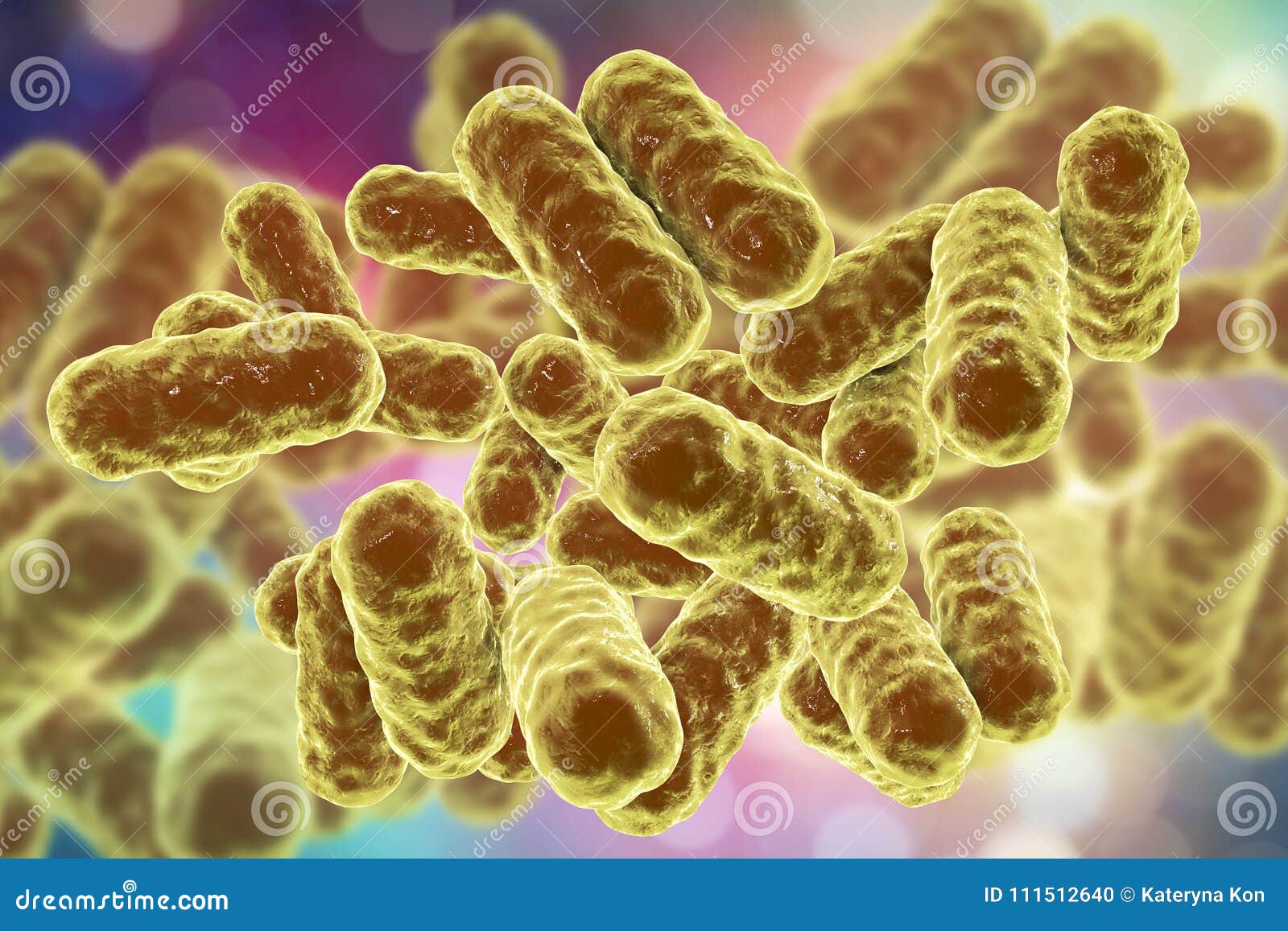 Enterobacter Bacteria, Gram-negative Rod-shaped Bacteria Stock ...