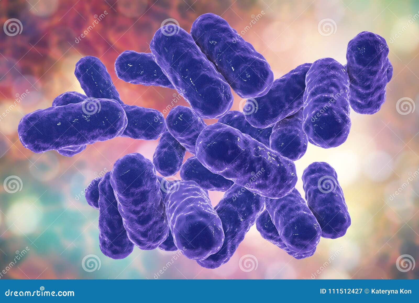 Enterobacteria Bacterias, Bacterias Barra-formadas Gramnegativas Stock ...