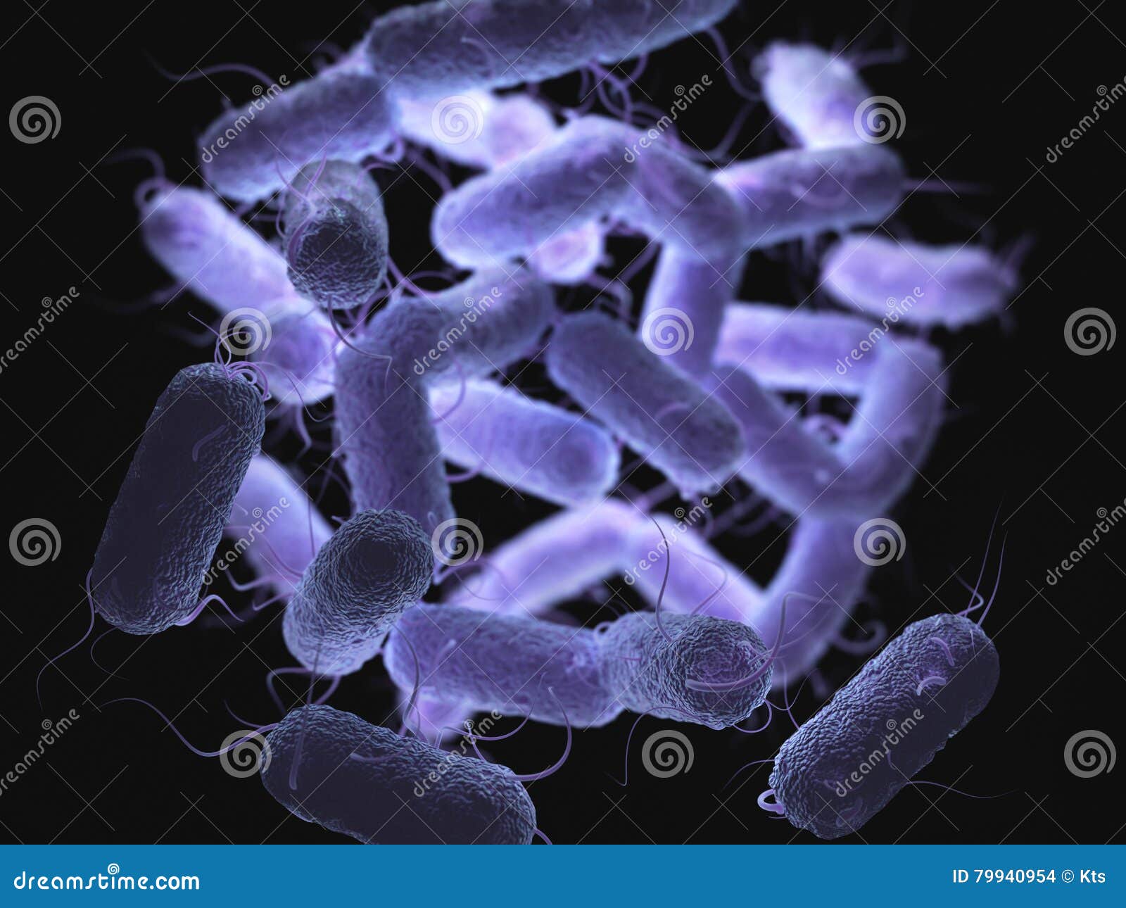 Enterobacteriaceae Bacteria Family Stock Illustration - Illustration of ...