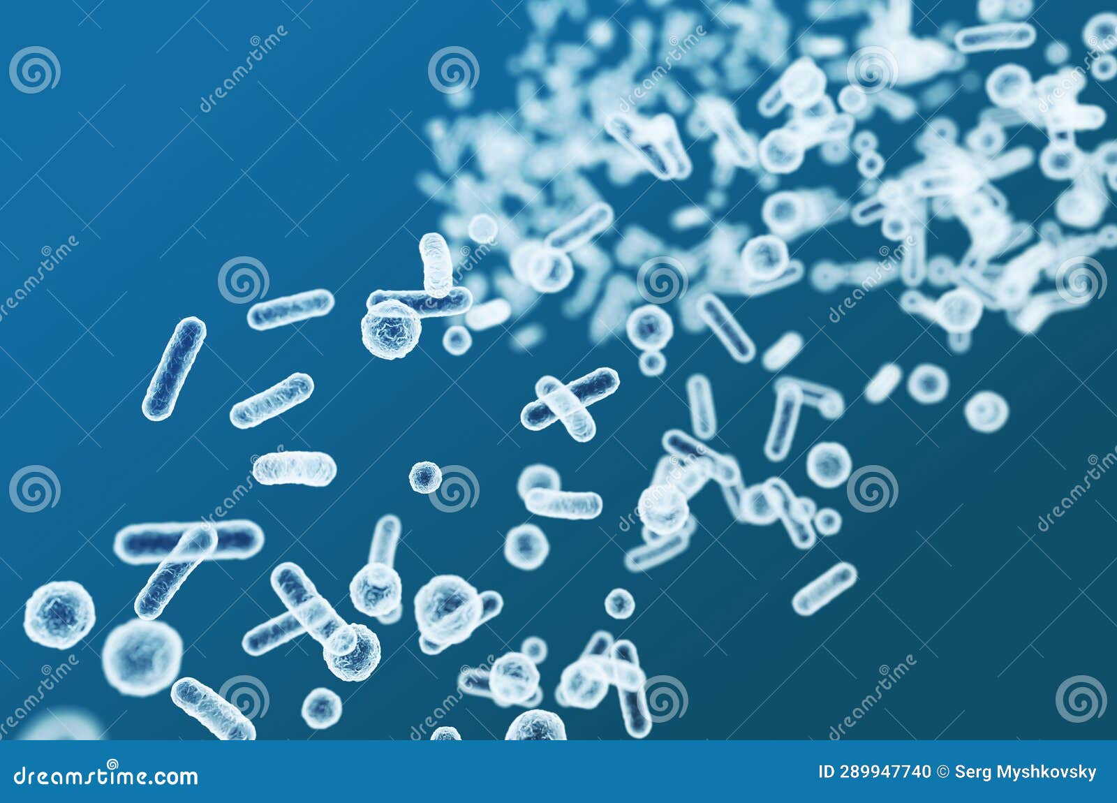 Enterobacteriaceae, Gram-negative Rod-shaped Bacteria Stock ...