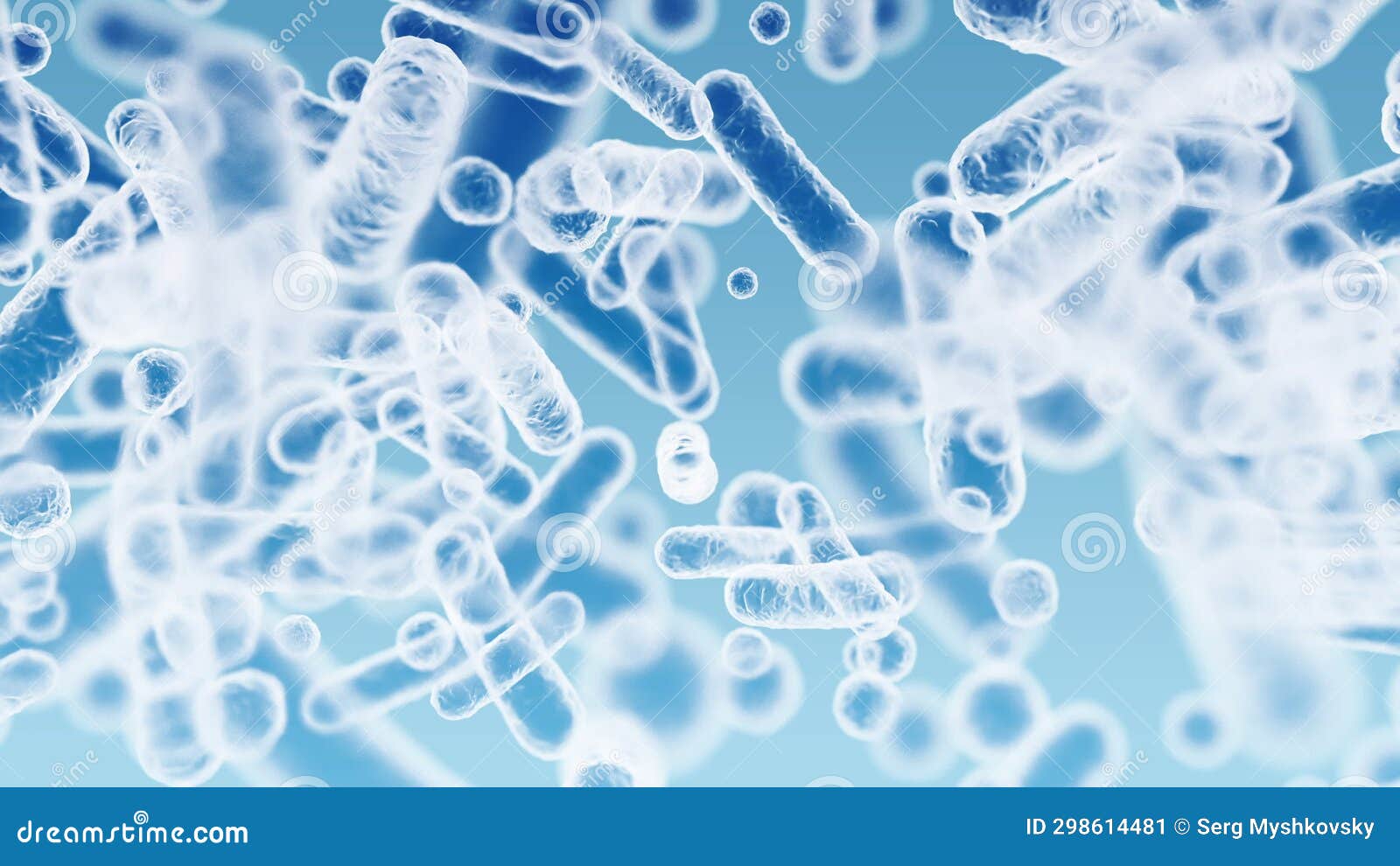 Enterobacteriaceae, Gram-negative Rod-shaped Bacteria Stock Video ...