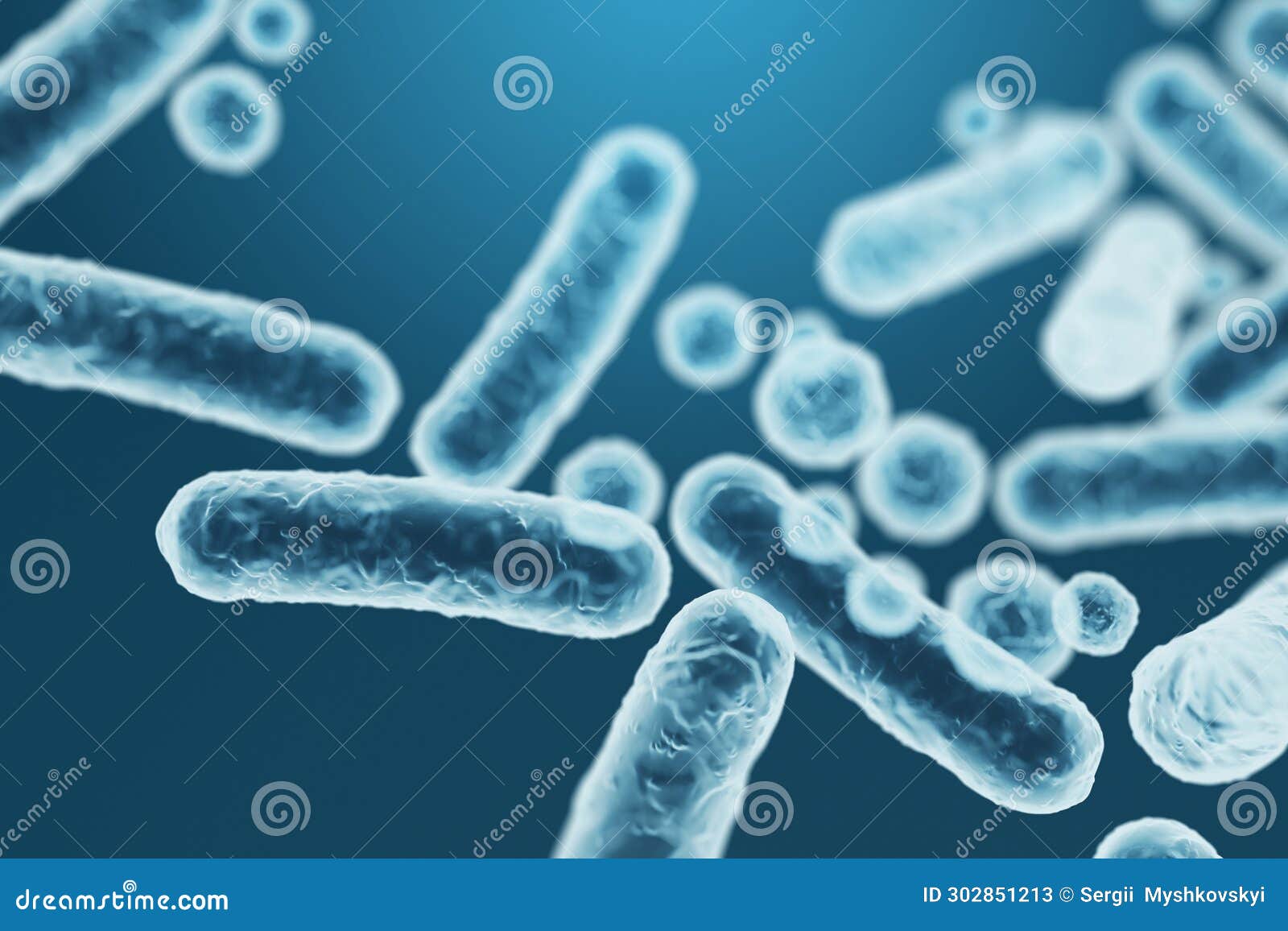 Enterobacteriaceae, Gram-negative Rod-shaped Bacteria Stock ...