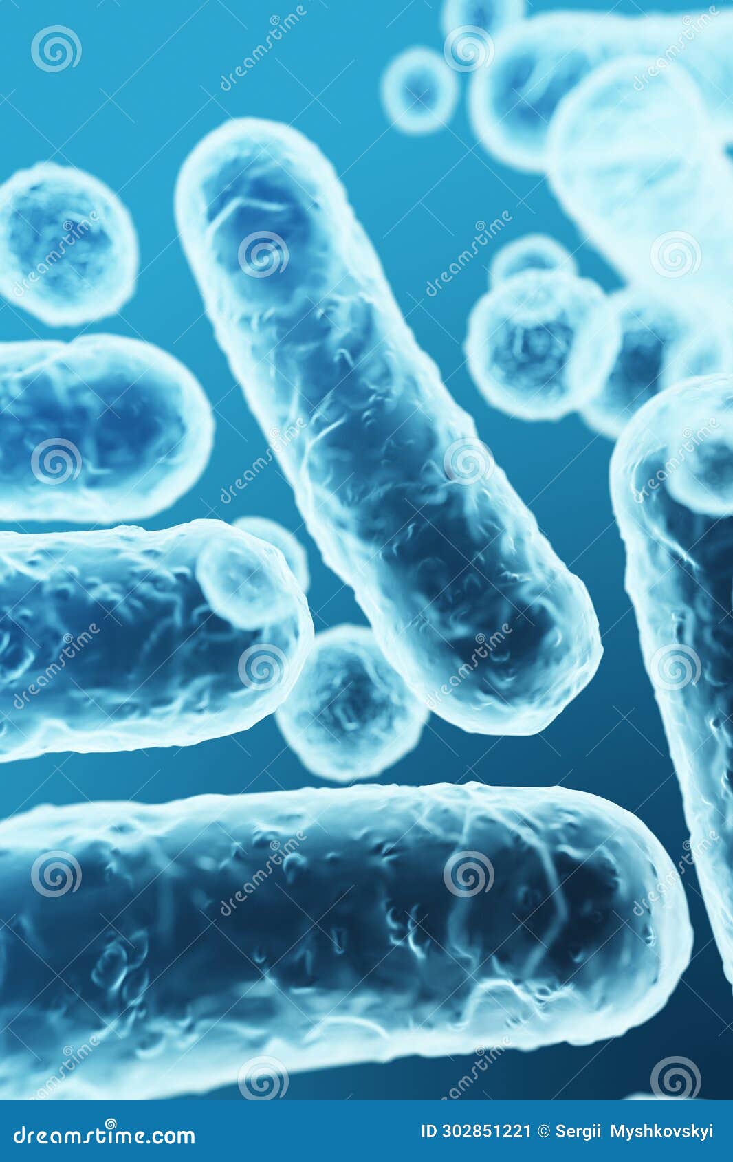 Enterobacteriaceae, Gram-negative Rod-shaped Bacteria Stock ...