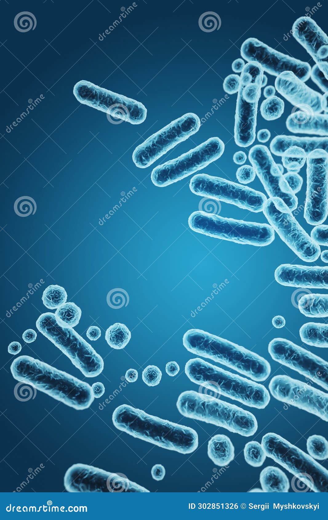 Enterobacteriaceae, Gram-negative Rod-shaped Bacteria Stock ...