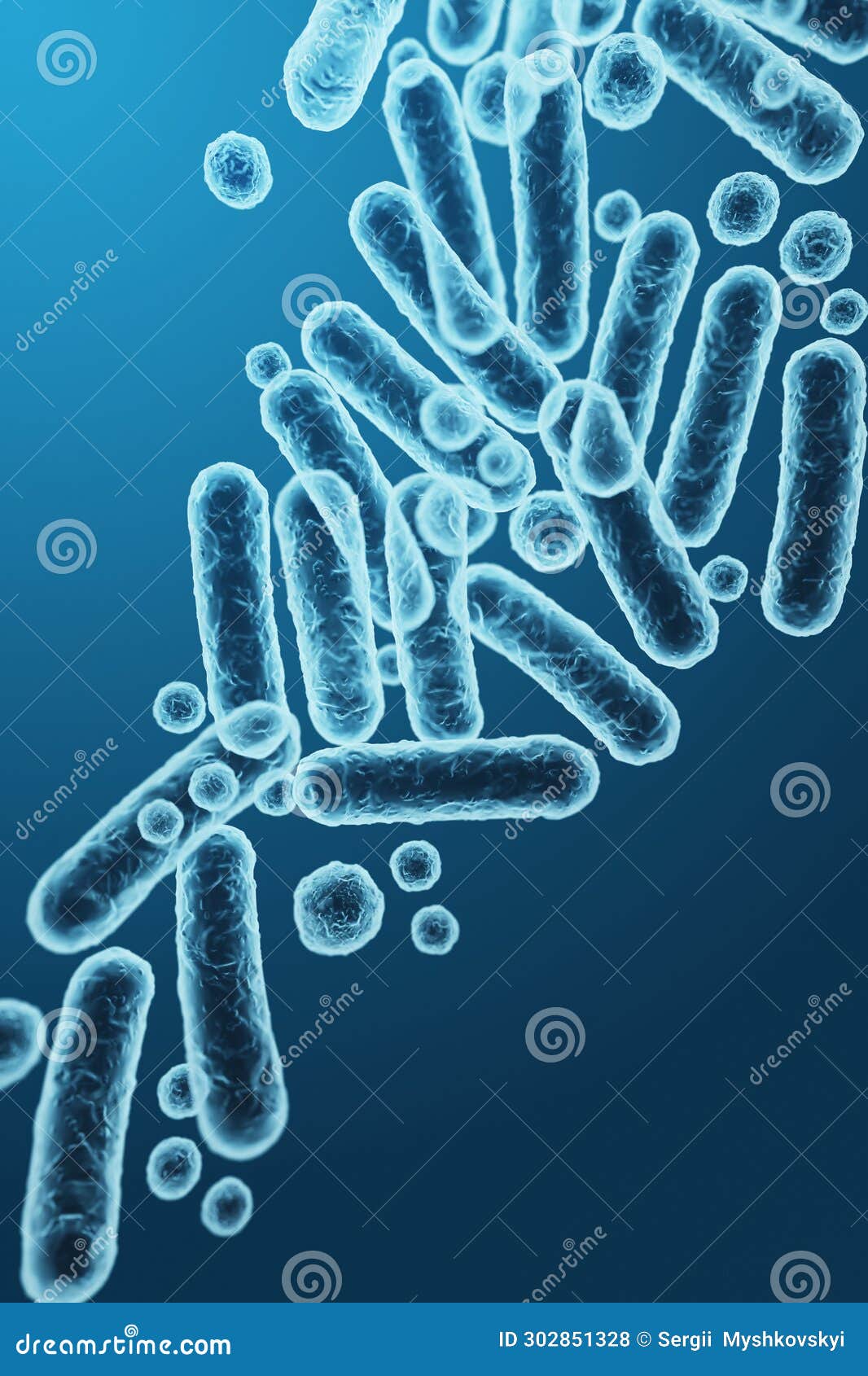 Enterobacteriaceae, Gram-negative Rod-shaped Bacteria Stock ...