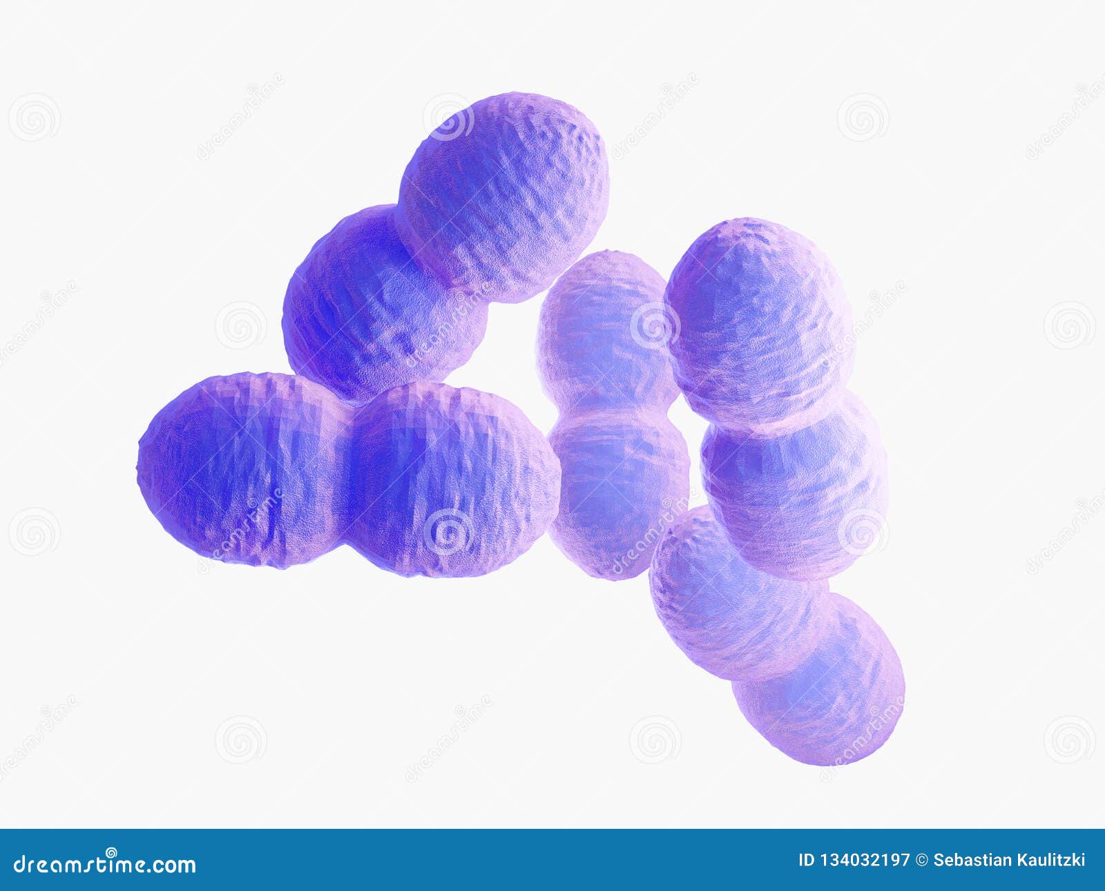 An enterococcus bacteria stock illustration. Illustration of isolated ...