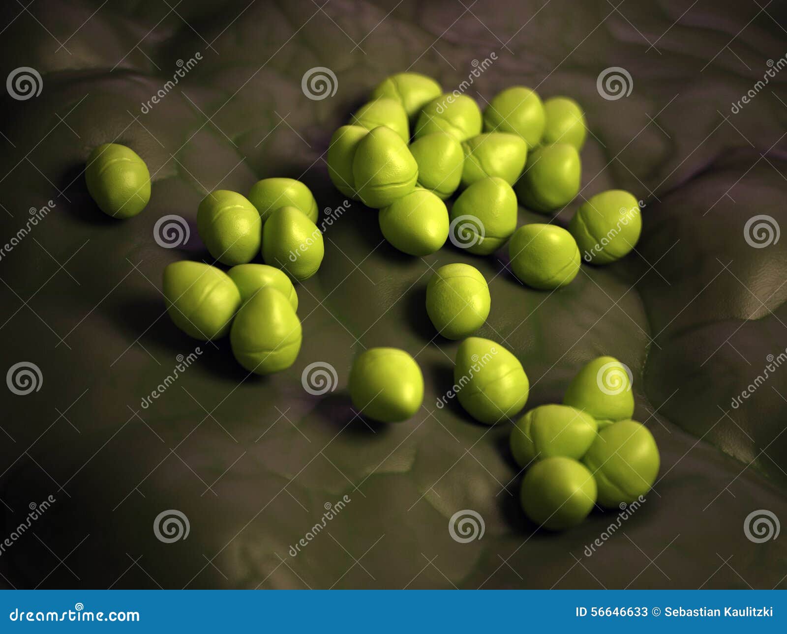 The Enterococcus - Close Up Stock Illustration - Illustration of ...