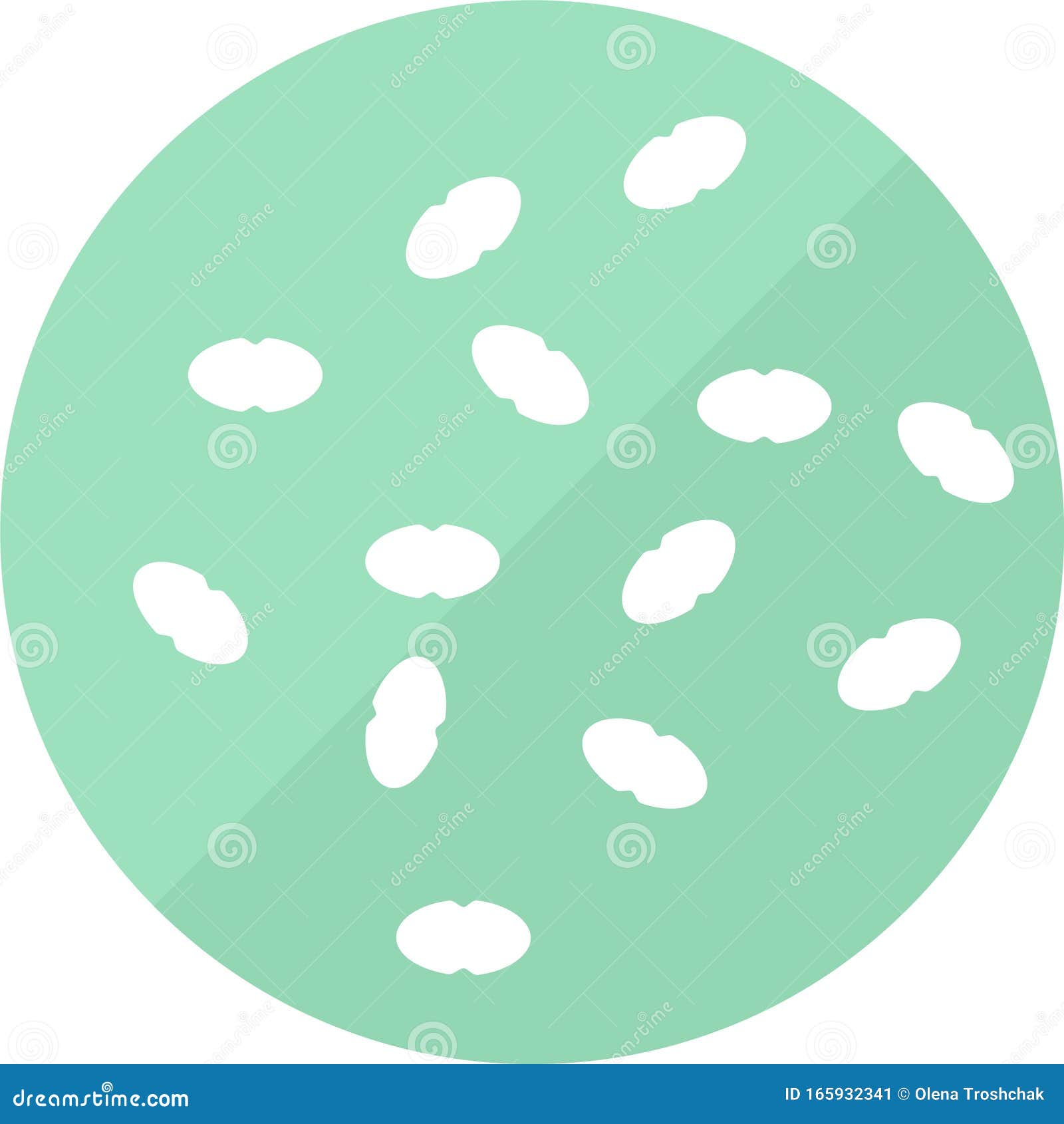 Enterococcus Faecalis Bad Gutbacteria Microflora of Intestine Stock ...