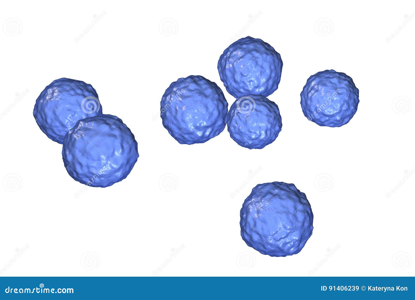 Enterococo De Las Bacterias, Ejemplo Stock de ilustración - Ilustración ...