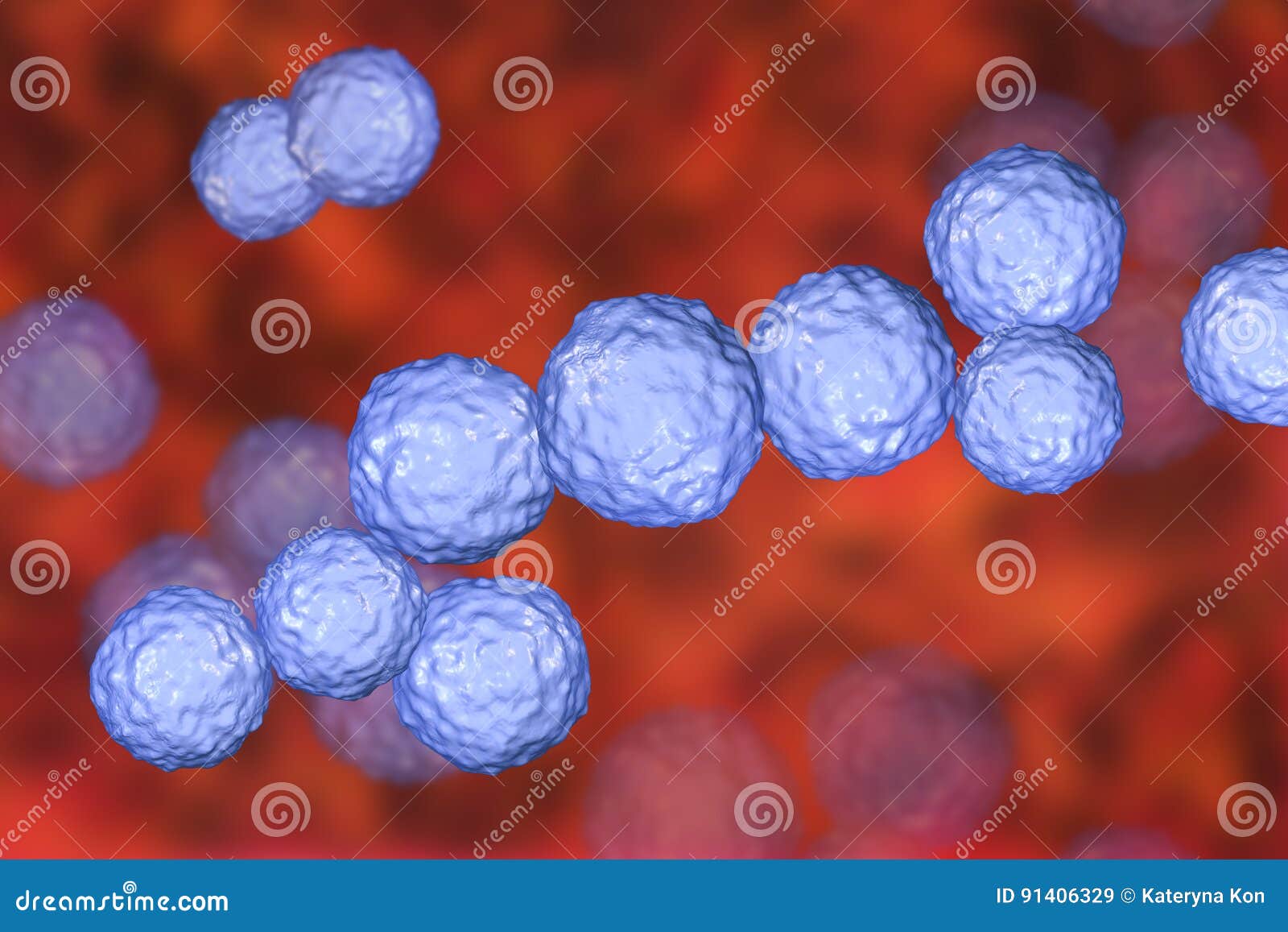 Enterococo De Las Bacterias, Ejemplo Stock de ilustración - Ilustración ...