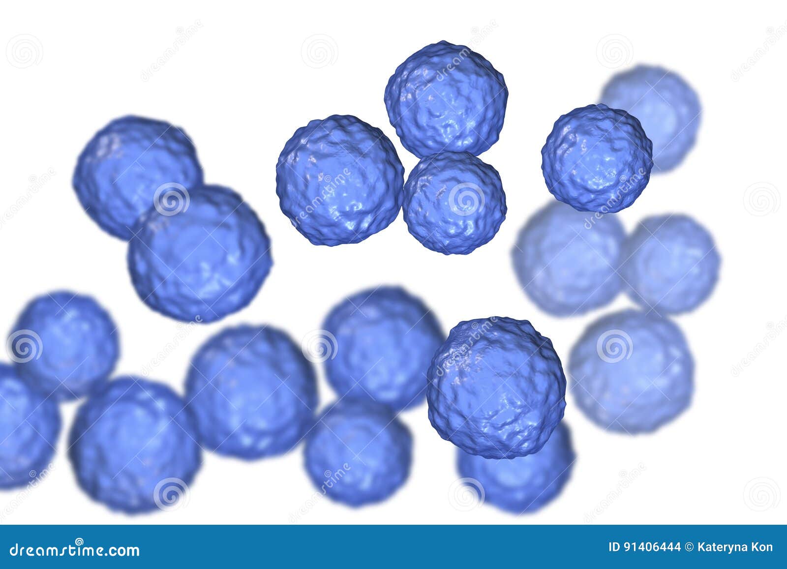 Enterococo De Las Bacterias, Ejemplo Stock de ilustración - Ilustración ...