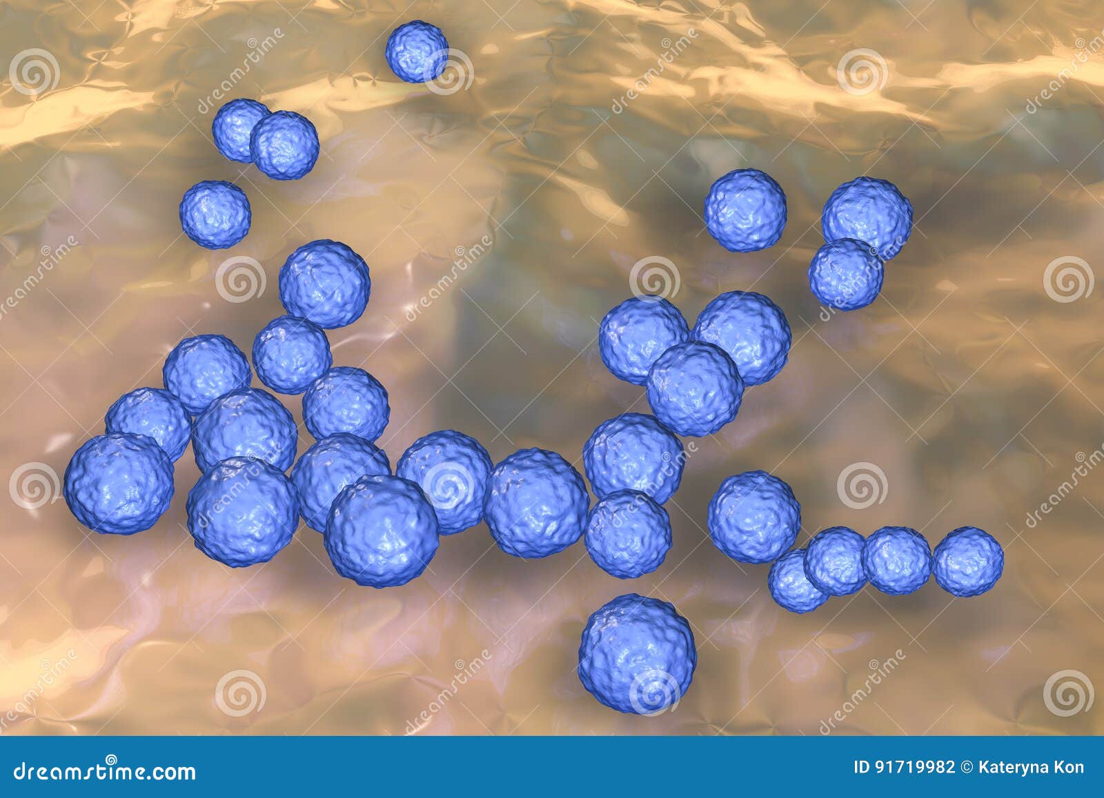 Enterococo De Las Bacterias, Ejemplo Stock de ilustración - Ilustración ...