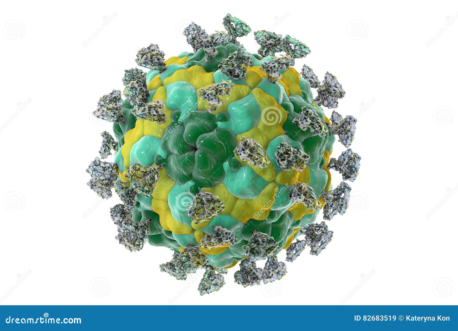 Enterovirus with Attached Integrin Molecules Stock Illustration ...