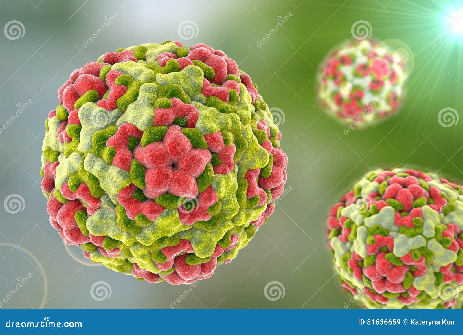 Enterovirus D68 Which Causes Respiratory Infections in Children Stock ...