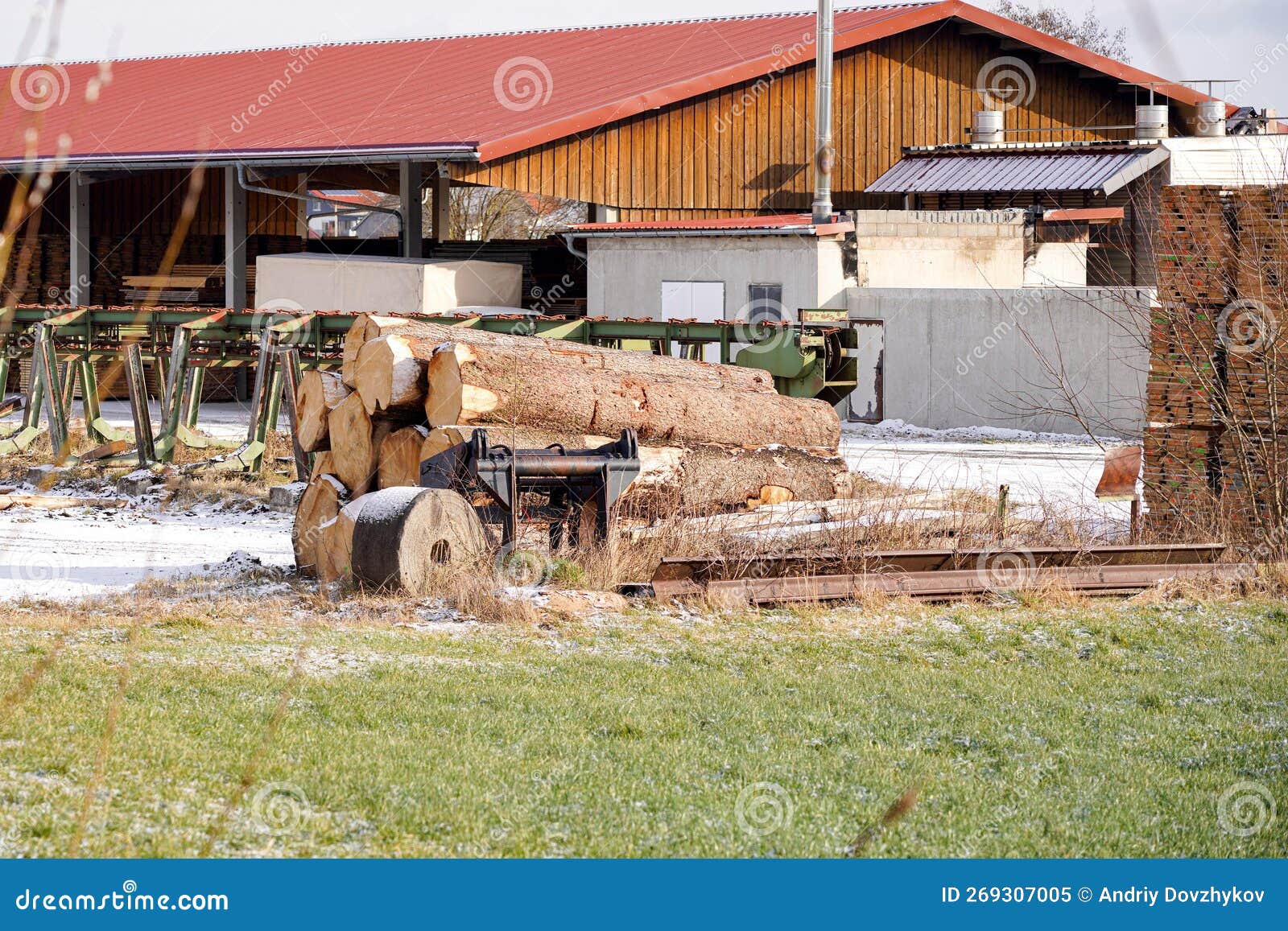 An Enterprise for Processing Timber into Timber in the System of the ...