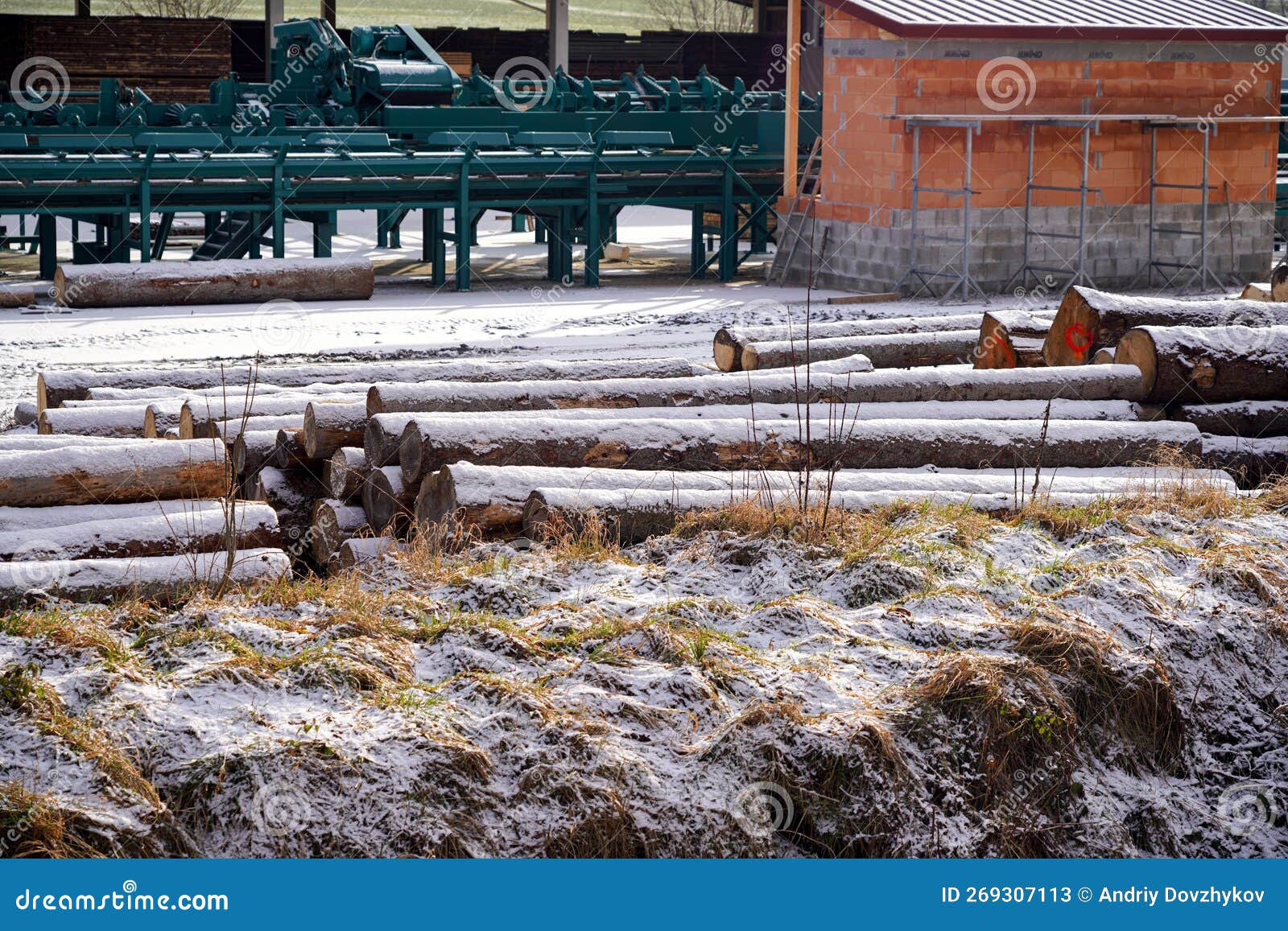 An Enterprise for Processing Timber into Timber in the System of the ...