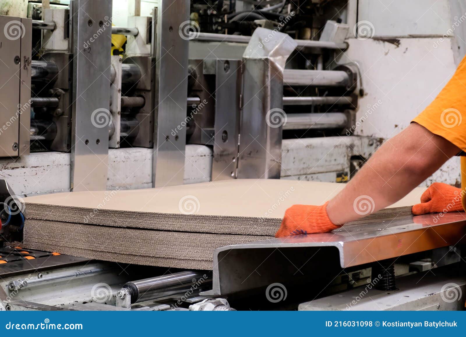 Enterprise for the Production of Cardboard Containers . Worker Put ...