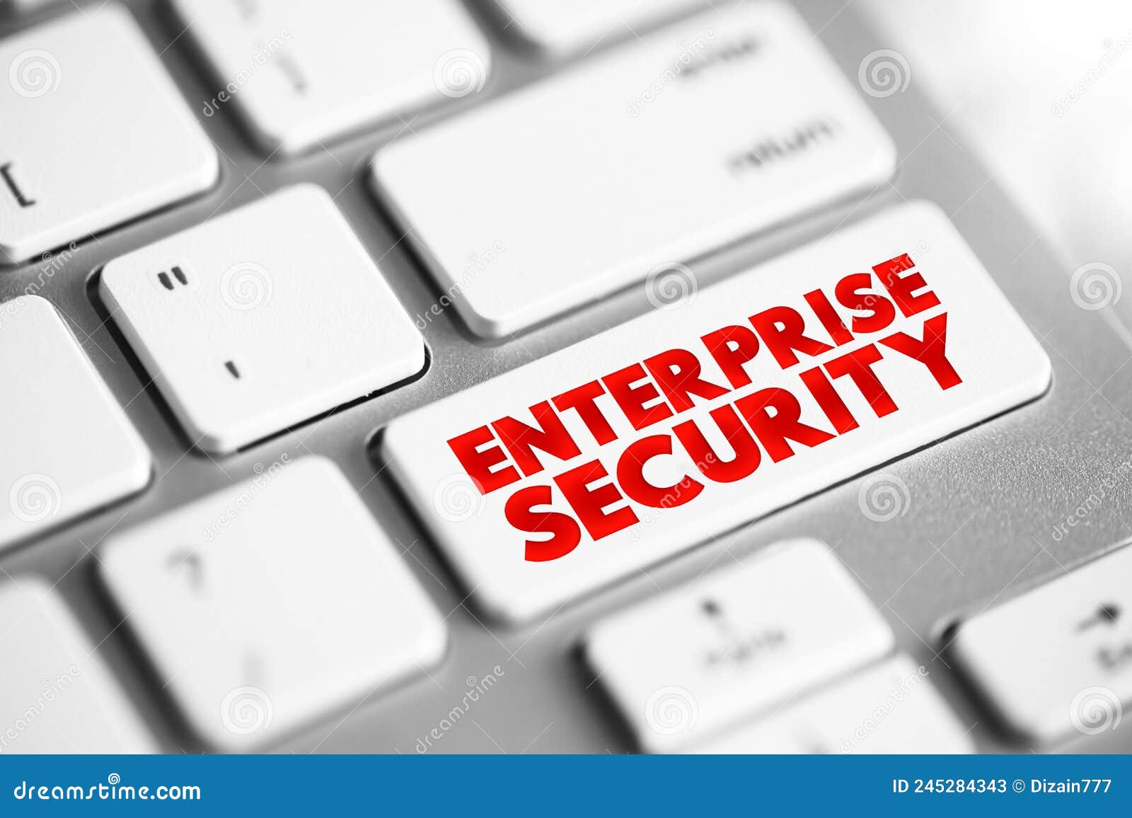 Enterprise Security - Includes Both the Internal or Proprietary ...
