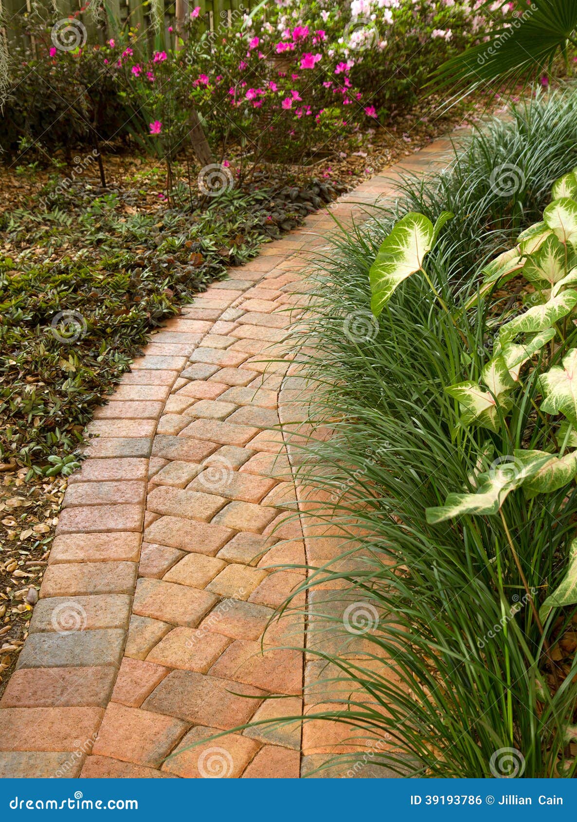 Enticing Curved Garden Path Stock Photo - Image of liriope, outdoor ...