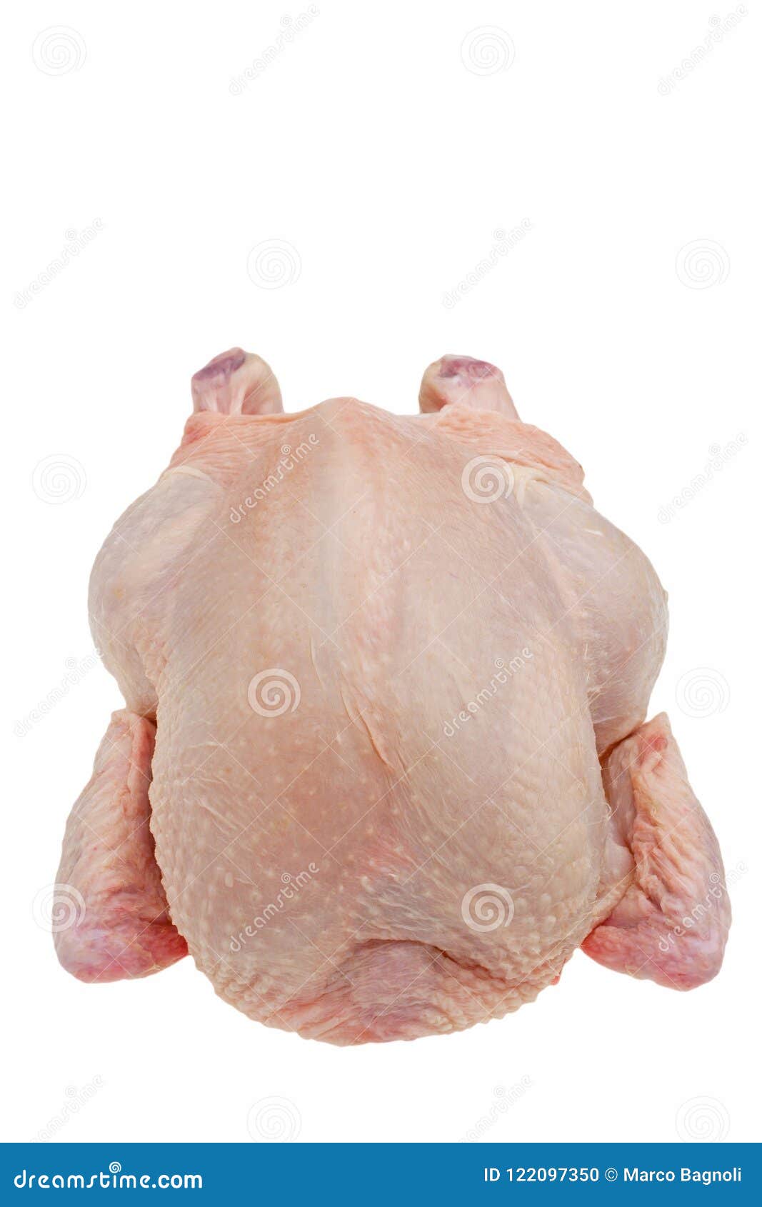 Entire Raw Chicken on White Background Stock Photo - Image of food ...