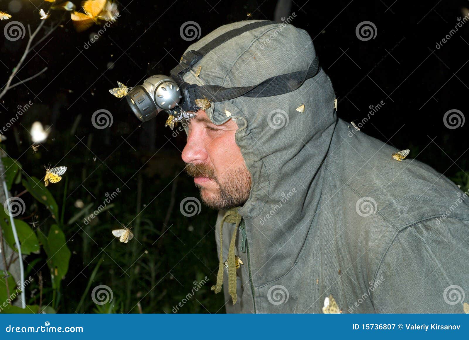 Entomologist 11 stock image. Image of person, entomologist - 15736807