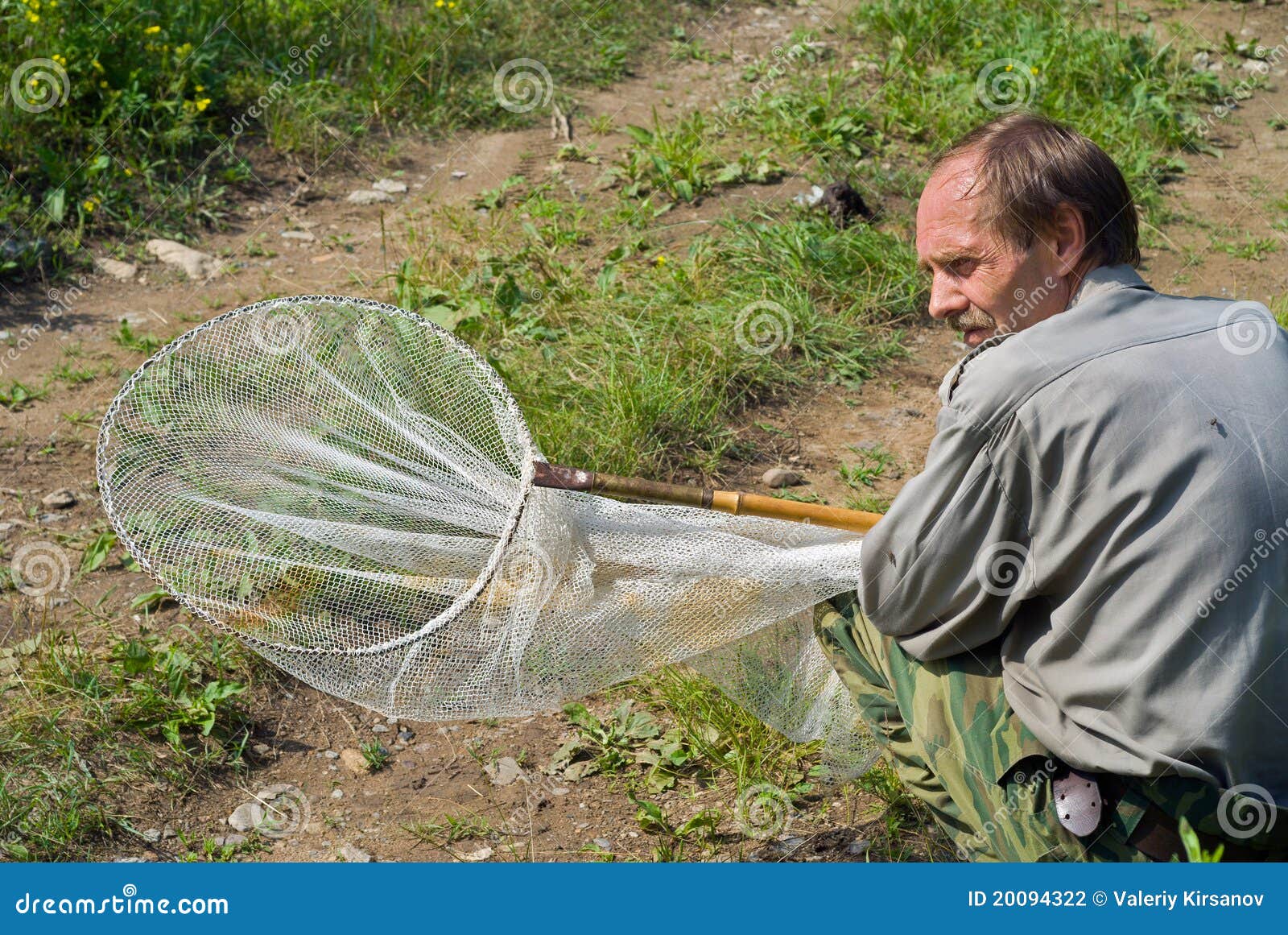 Entomologist 31 stock photo. Image of insect, wilderness - 20094322