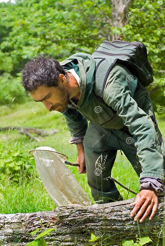 Entomologist 4 stock photo. Image of wildlife, green - 15263468
