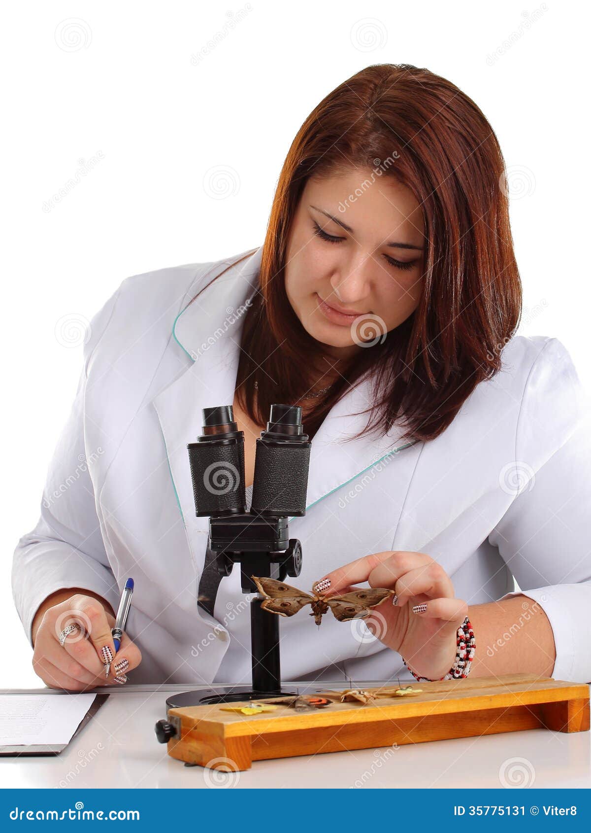 Entomologist Identifying Butterflies In Laboratory Royalty-Free Stock ...