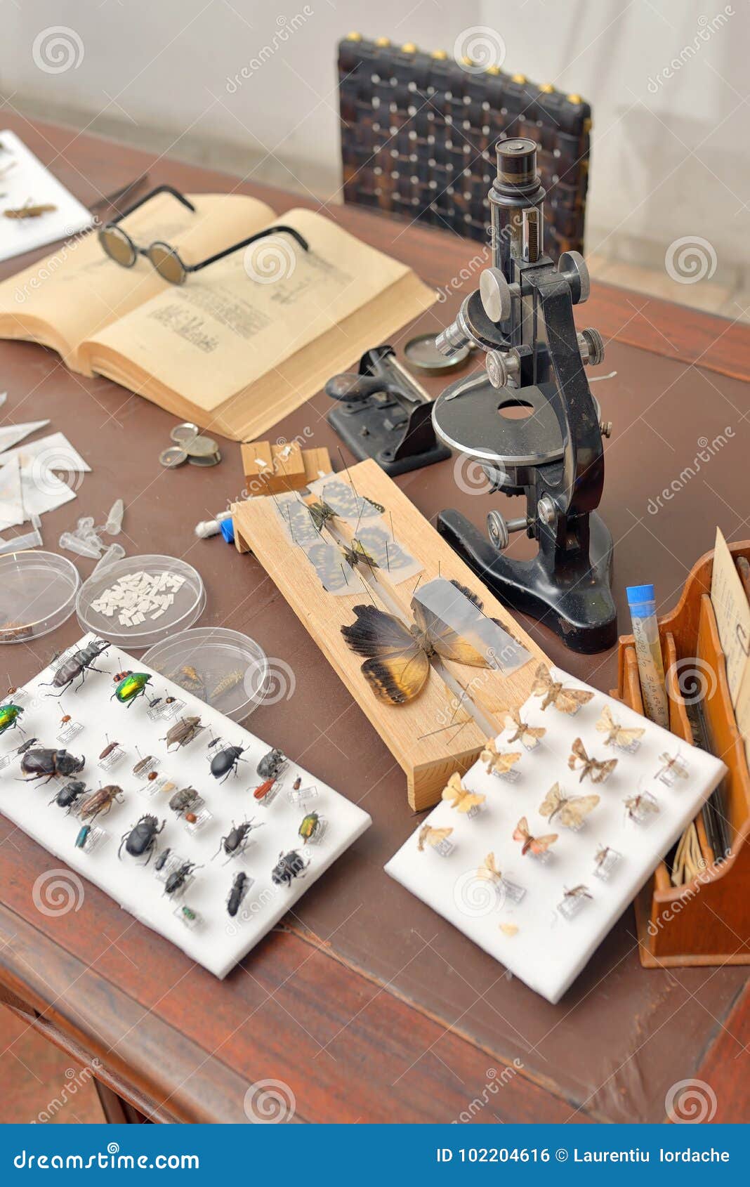 Entomologist Office with Tools Stock Photo - Image of analysis, biology ...