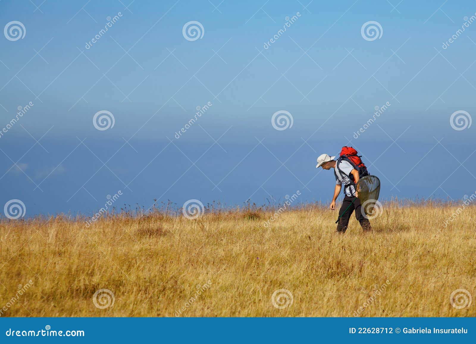 Entomologiste Dans La Nature Photo stock - Image du jeune, personne ...