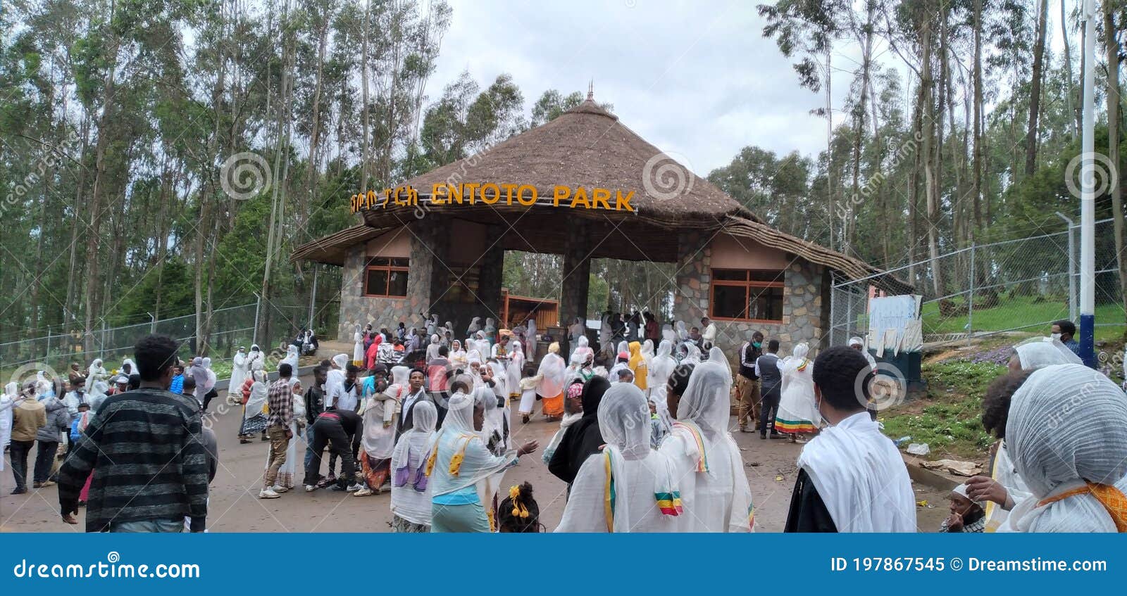 Entoto Park Ethiopia Addis Abeba Editorial Image - Image of abeba ...