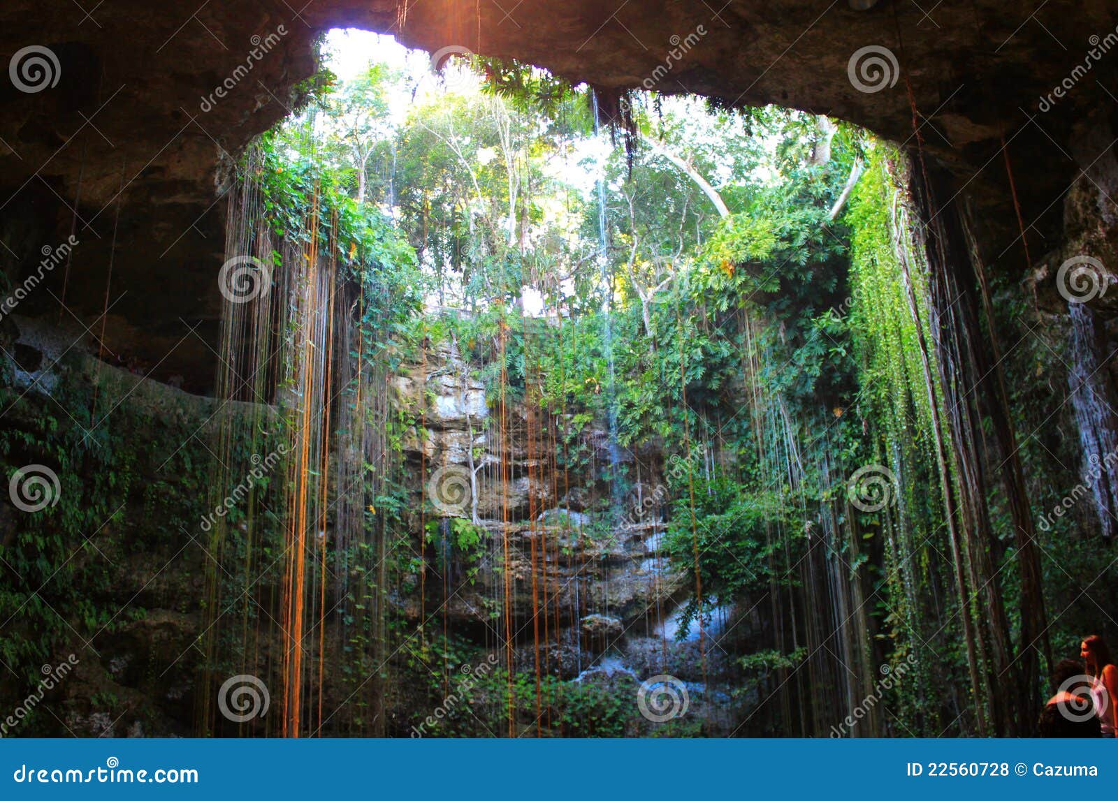 Entrada da caverna foto de stock. Imagem de tropical - 22560728