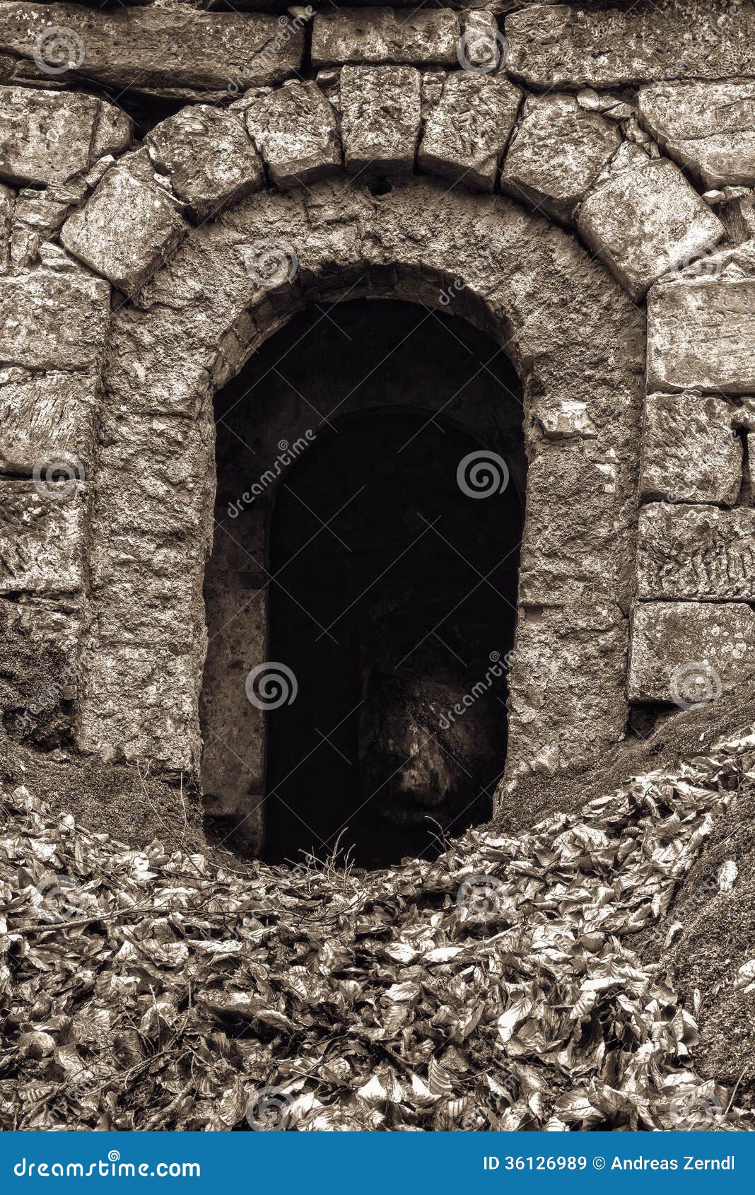 Entrada de la mazmorra imagen de archivo. Imagen de hojas - 36126989