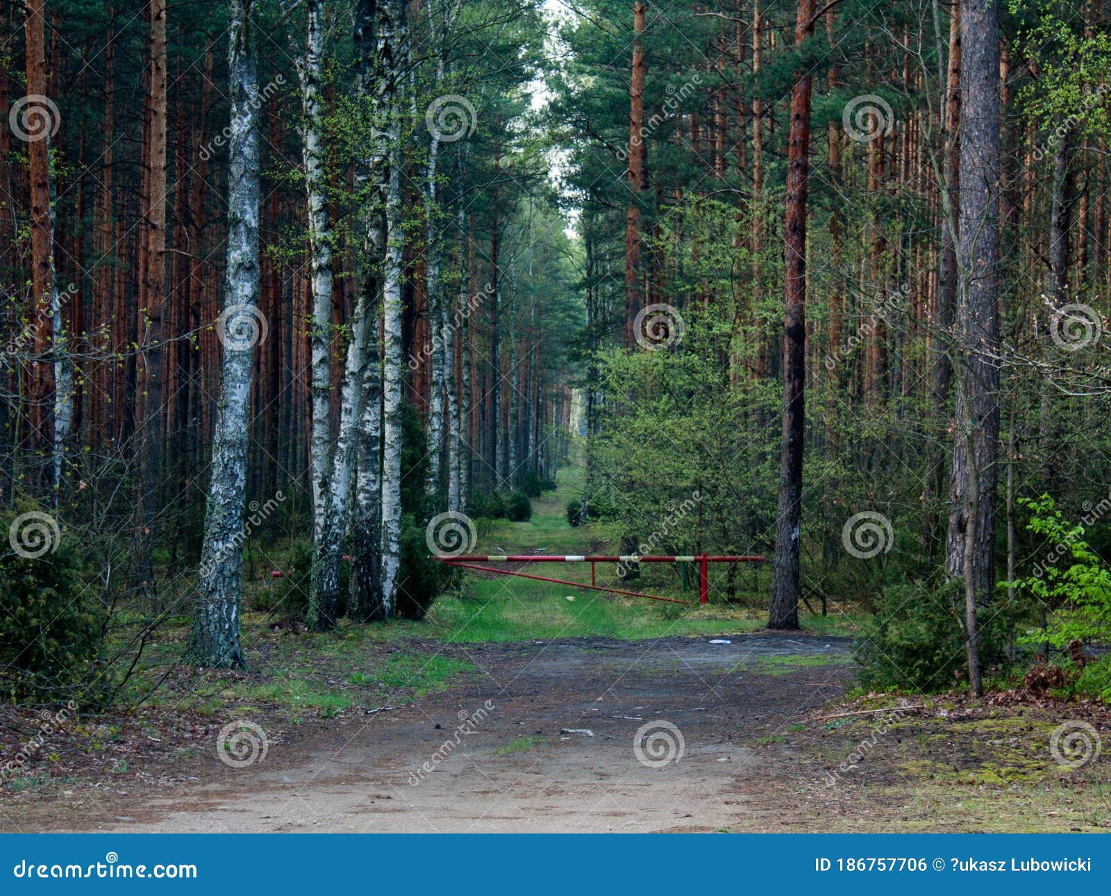 Entrada Fechada Na Floresta Foto de Stock - Imagem de parque, nave ...