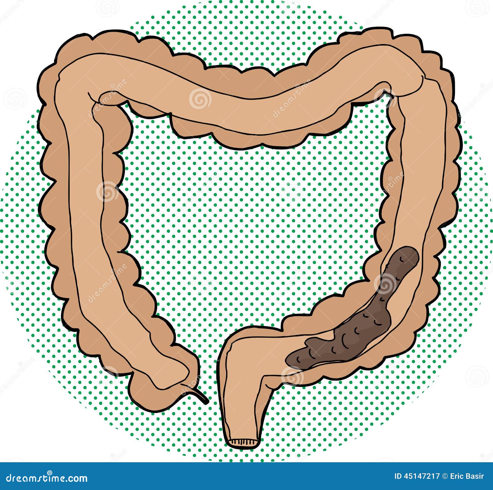 Entrailles Dans Le Gros Intestin Illustration de Vecteur - Illustration ...