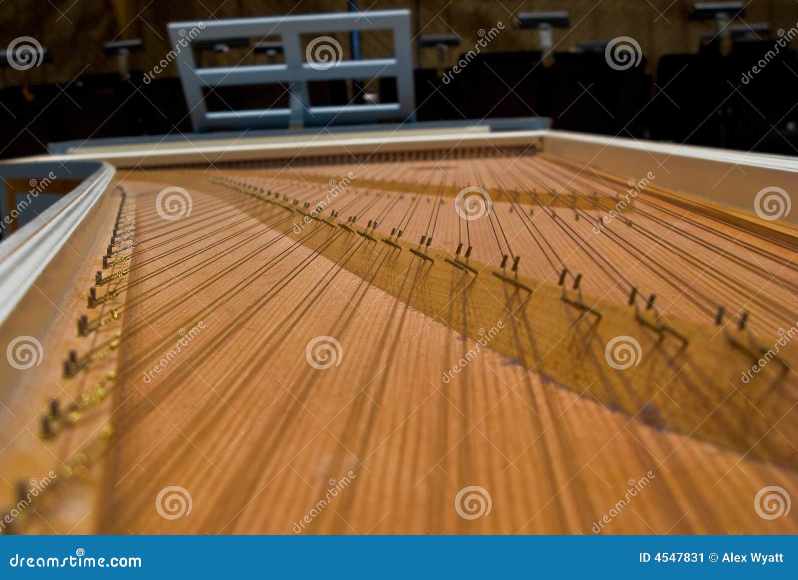 Entrailles de clavecin image stock. Image du avantageux - 4547831