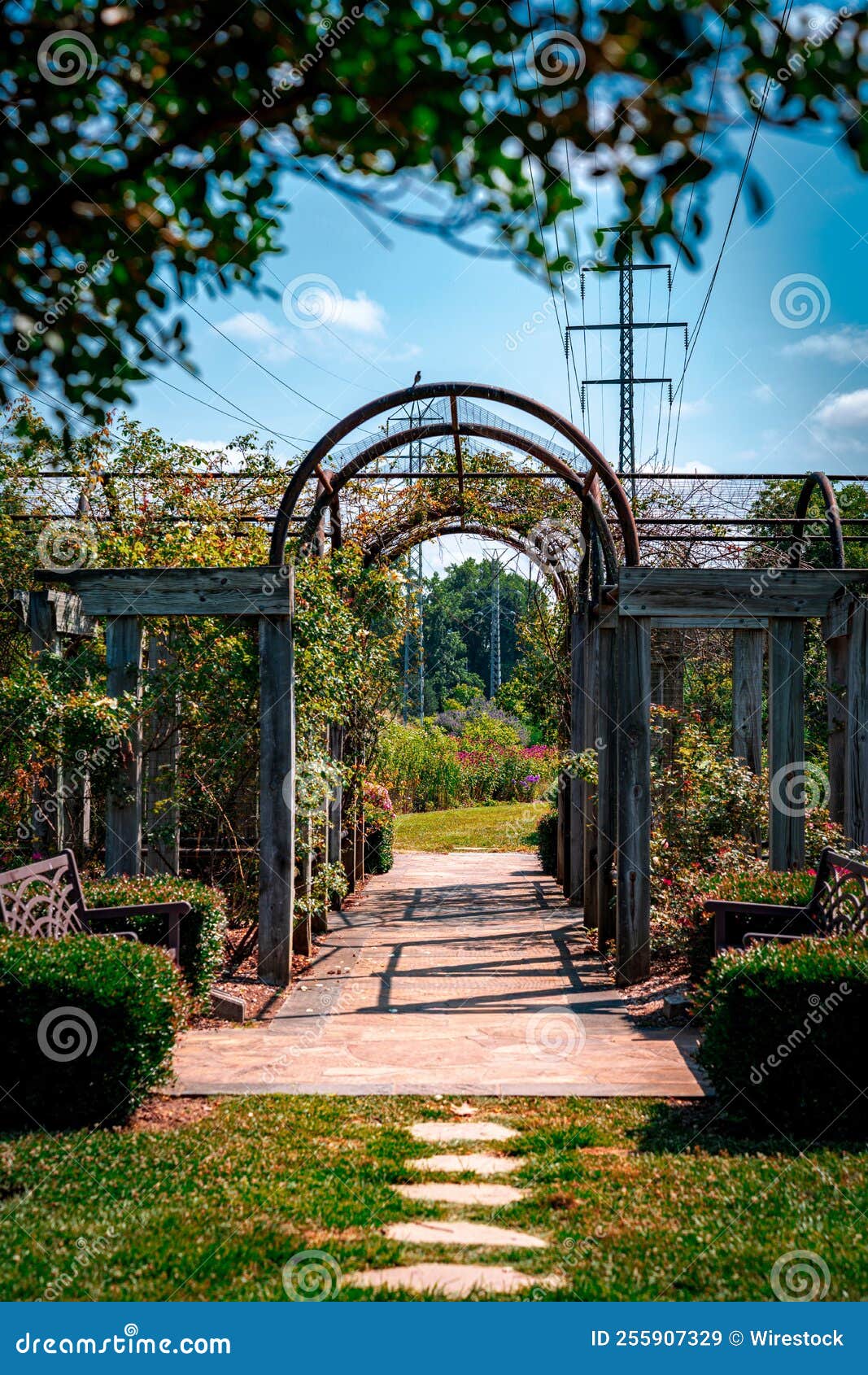 Entrance Arch and Pathway in a Park, Vertical Shot Stock Image - Image ...