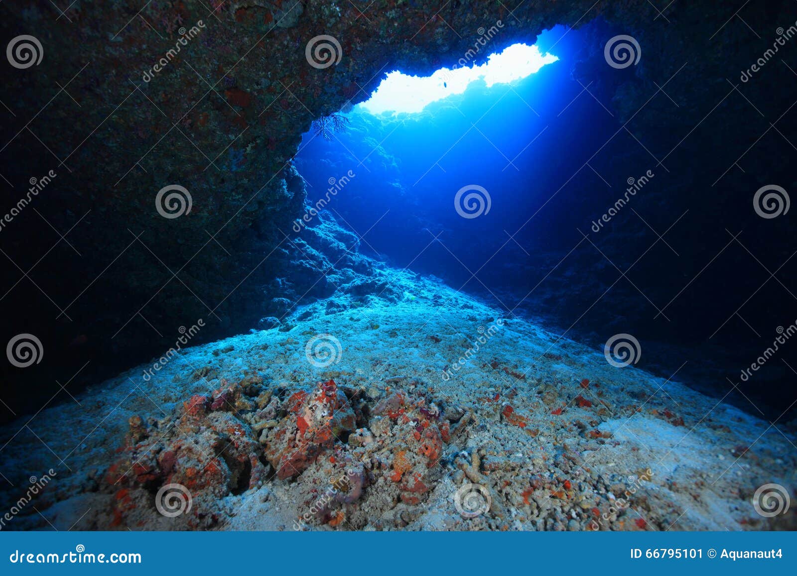 Underwater Cave Entrance