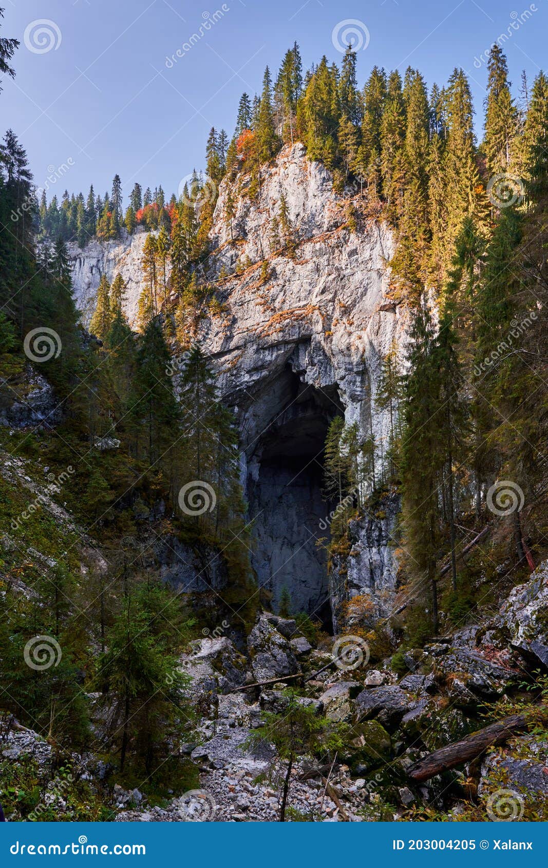 Entrance of a big cave stock image. Image of cavern - 203004205