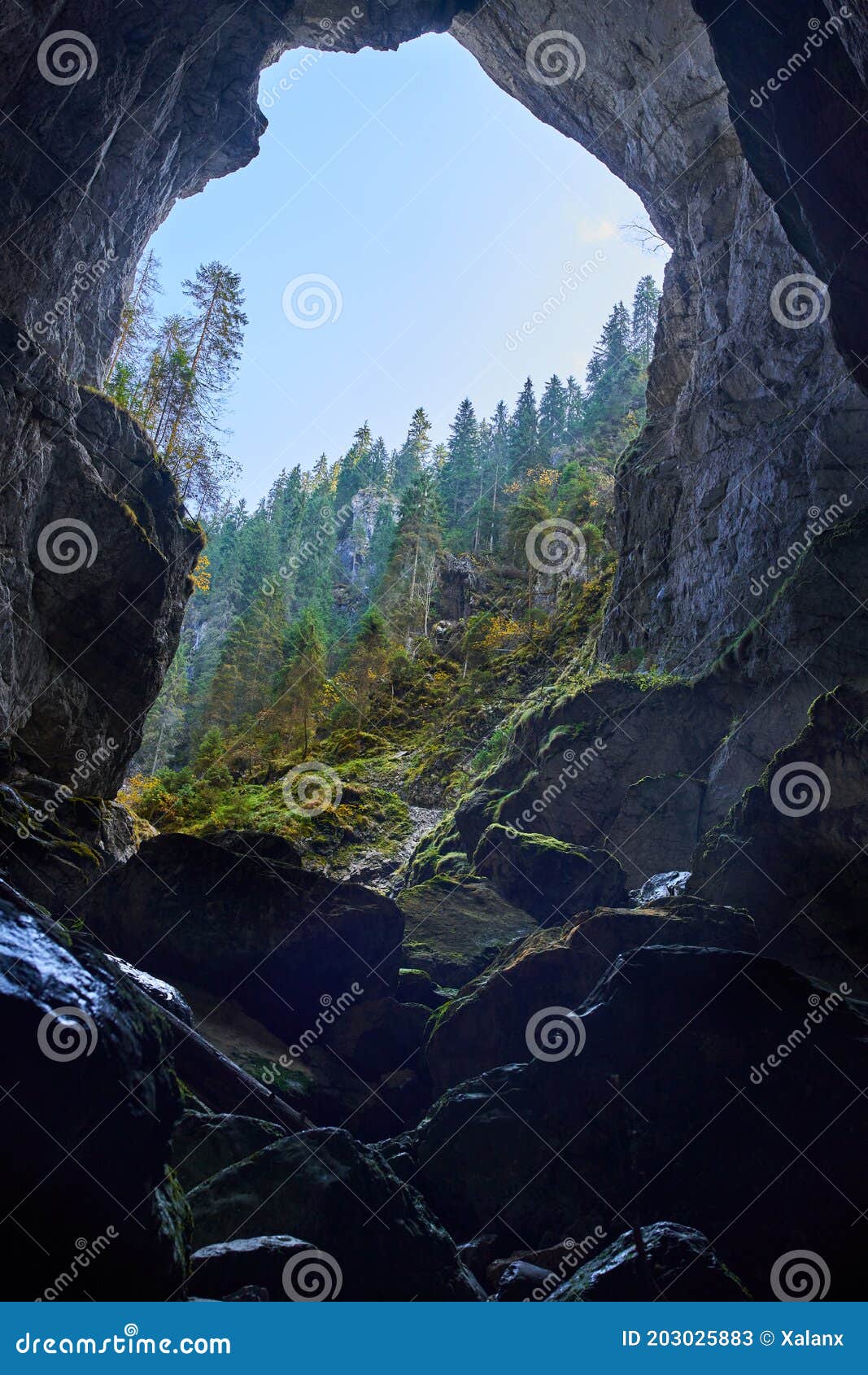 Entrance of a big cave stock image. Image of scenery - 203025883