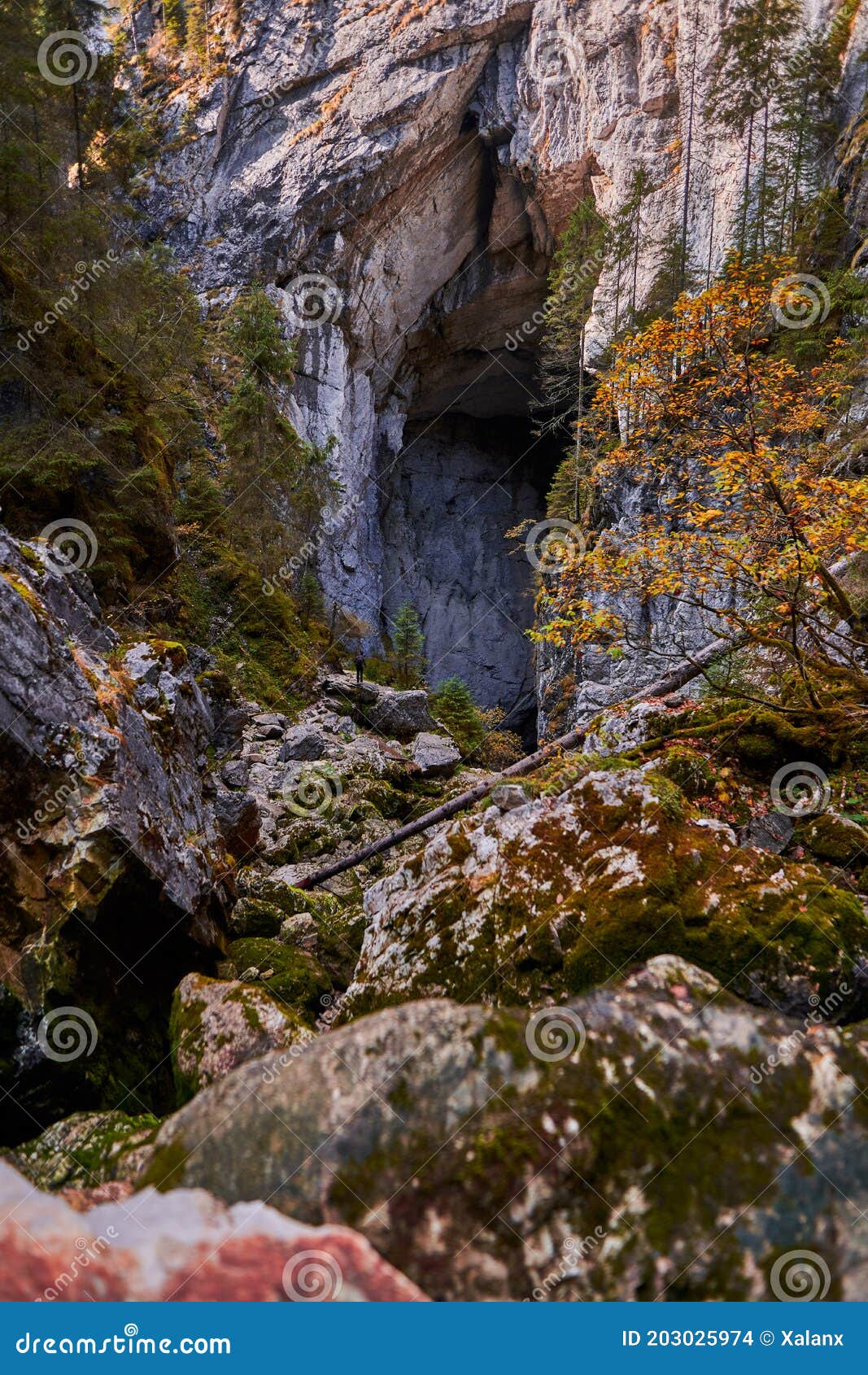 Entrance of a big cave stock photo. Image of nature - 203025974